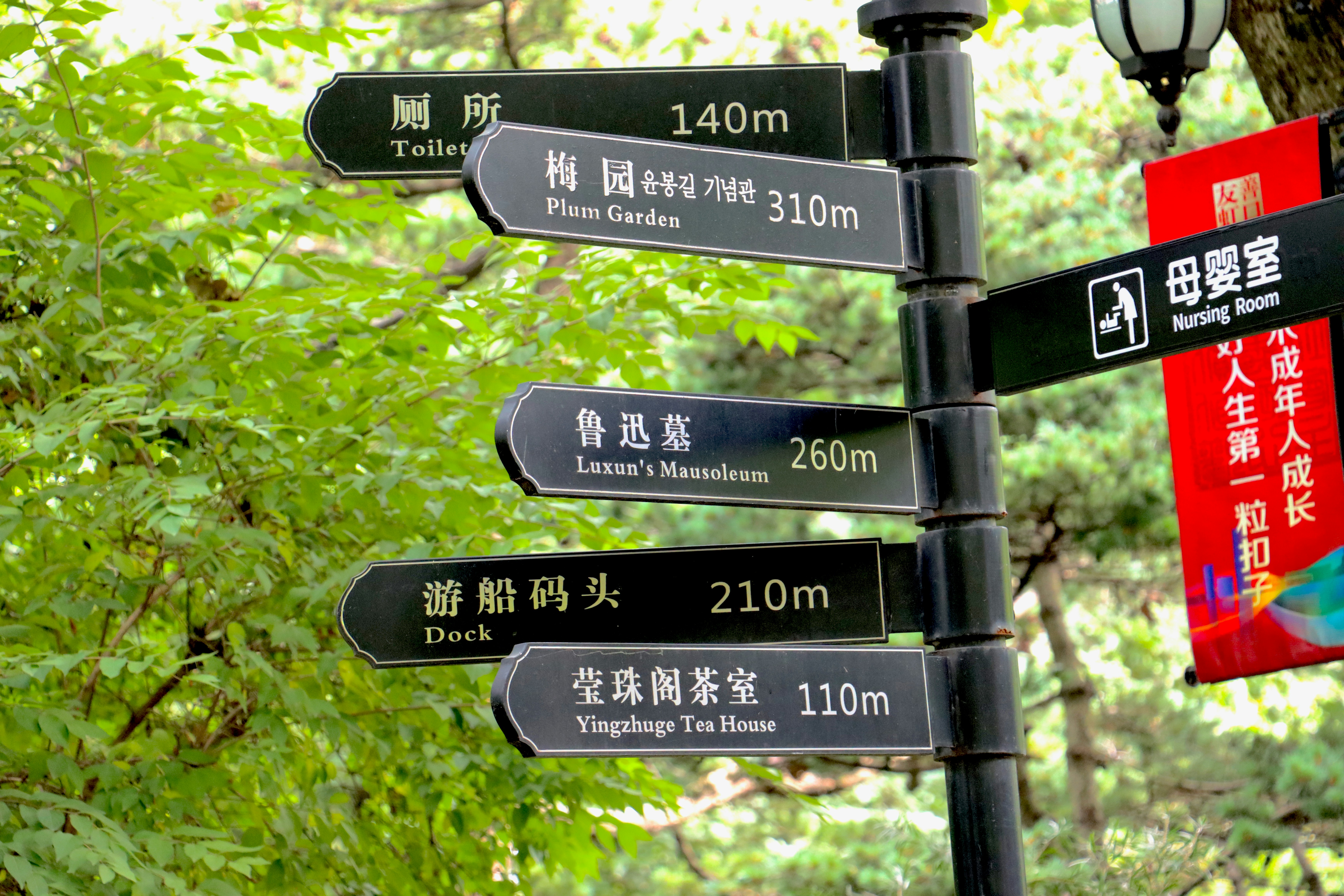 Orientation Pictures | Download Free Images on Unsplash