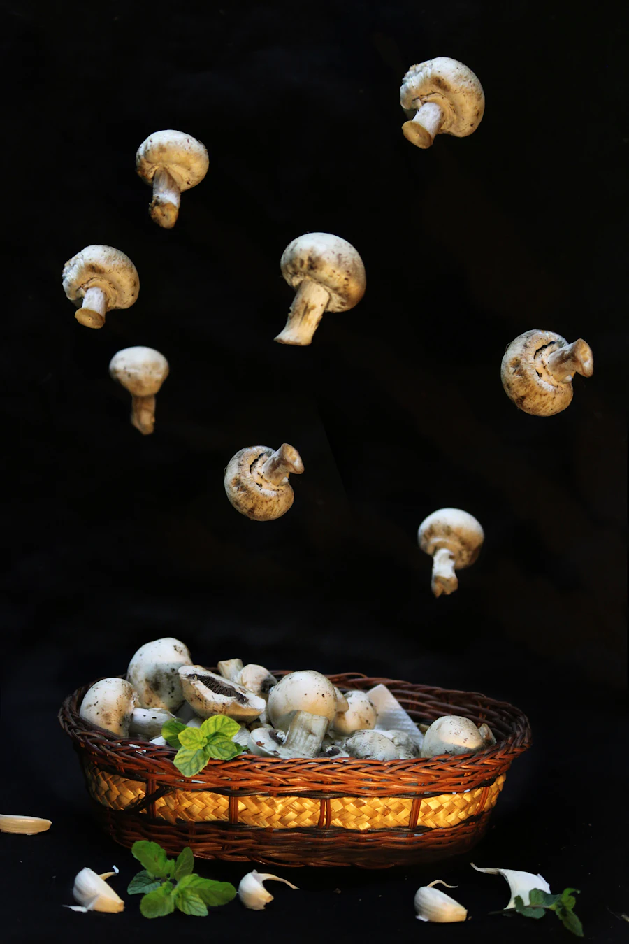 White mushrooms hover above a woven basket filled with more mushrooms, set against a deep black background with scattered herbs and garlic cloves below.