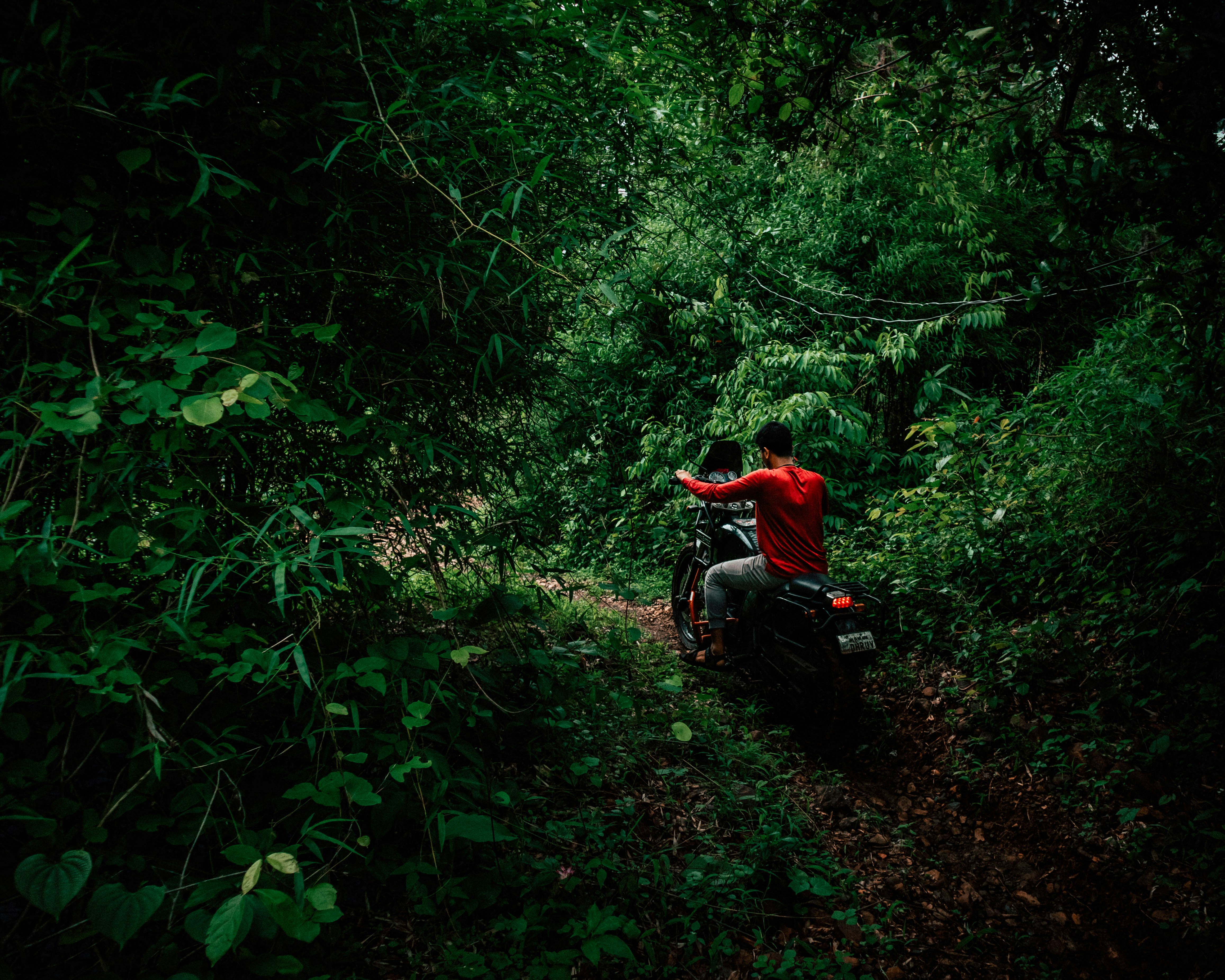 Red-Clad Rider Navigates a Shadowed Jungle Trail