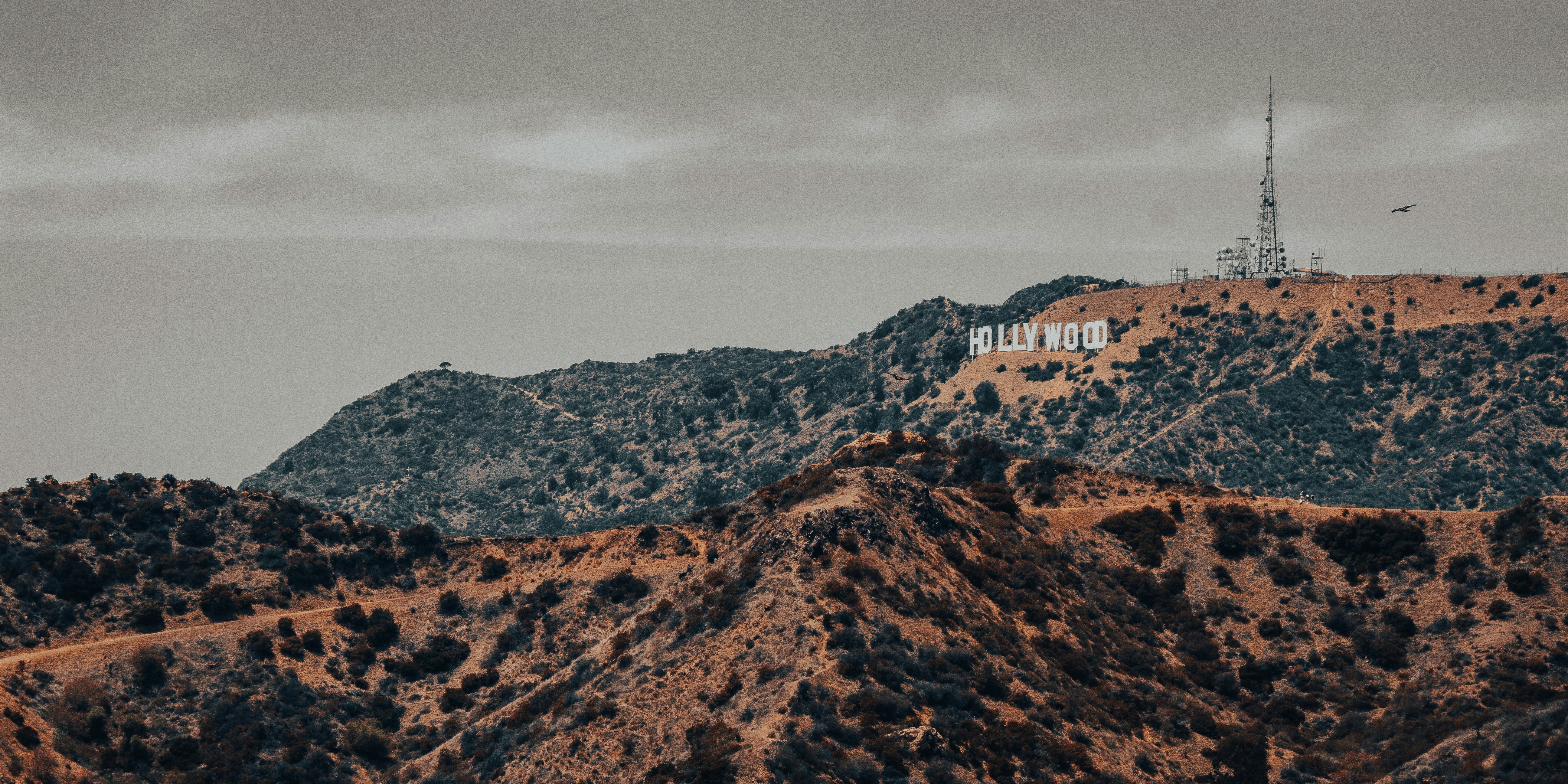 The iconic Hollywood sign perched on a hillside, surrounded by rugged terrain and a muted sky.