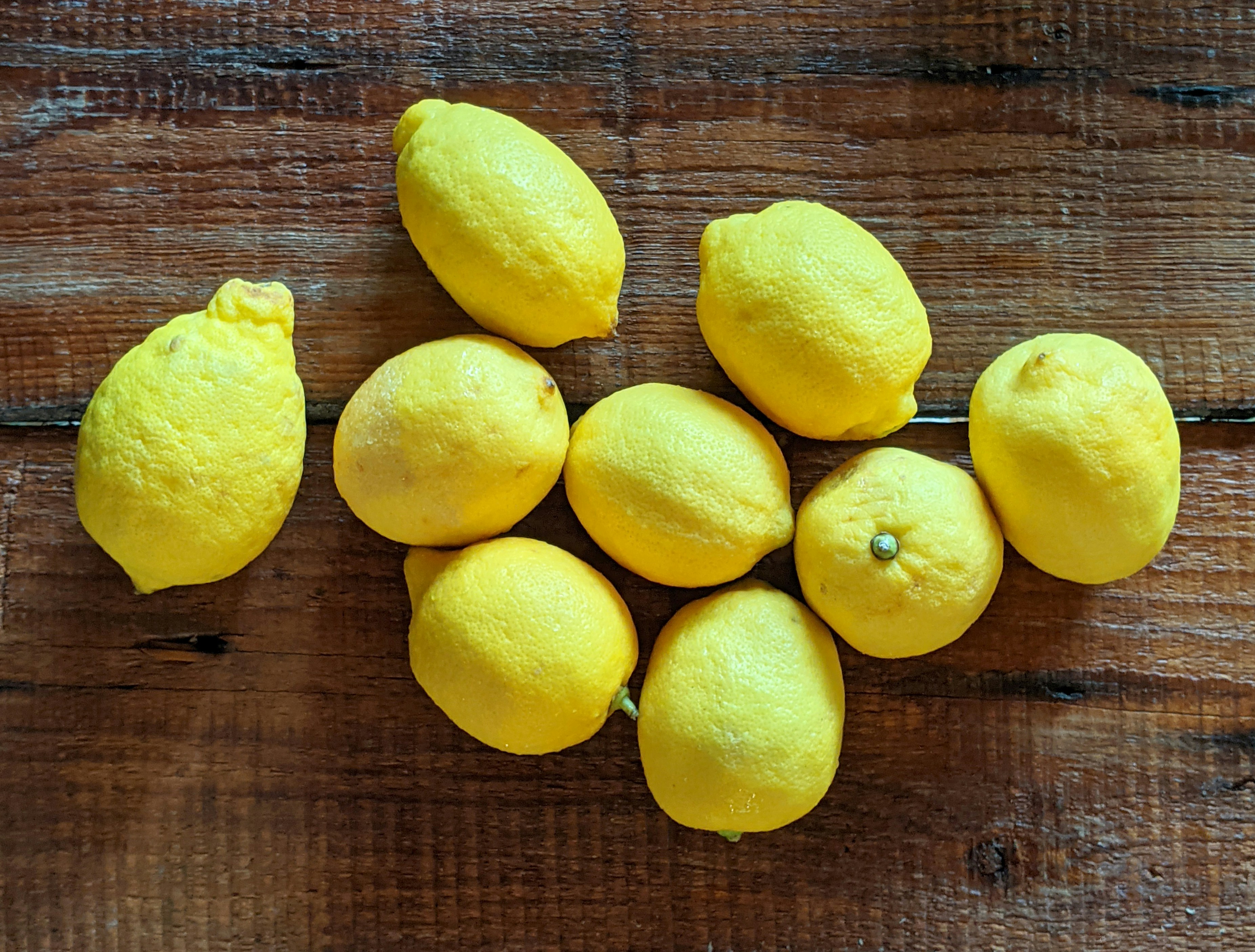 Susan Jones (@florian_jack_designs) | Unsplash 사진 커뮤니티