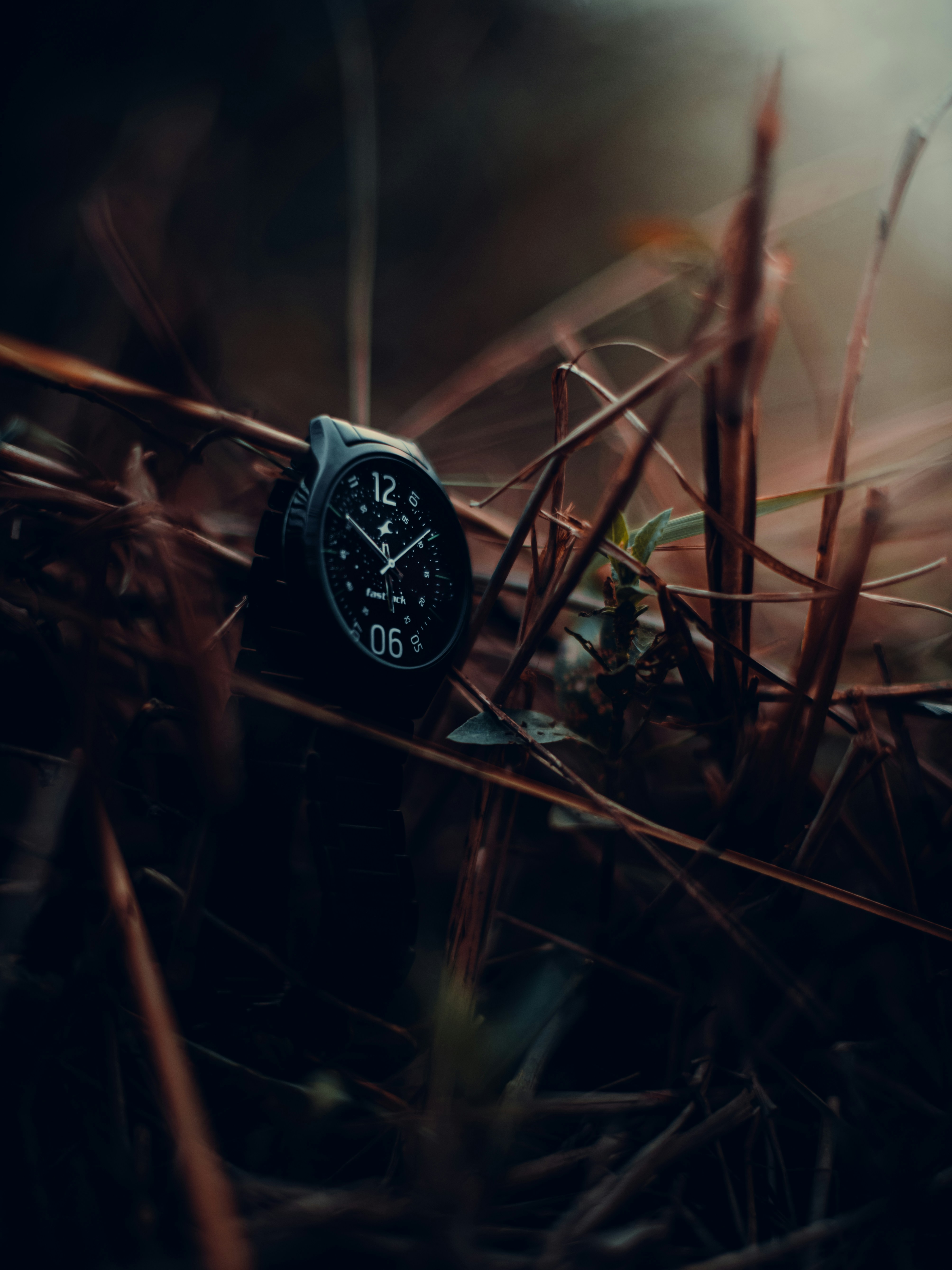 Timeless Moment: A Watch Forgotten in Autumn Tangles