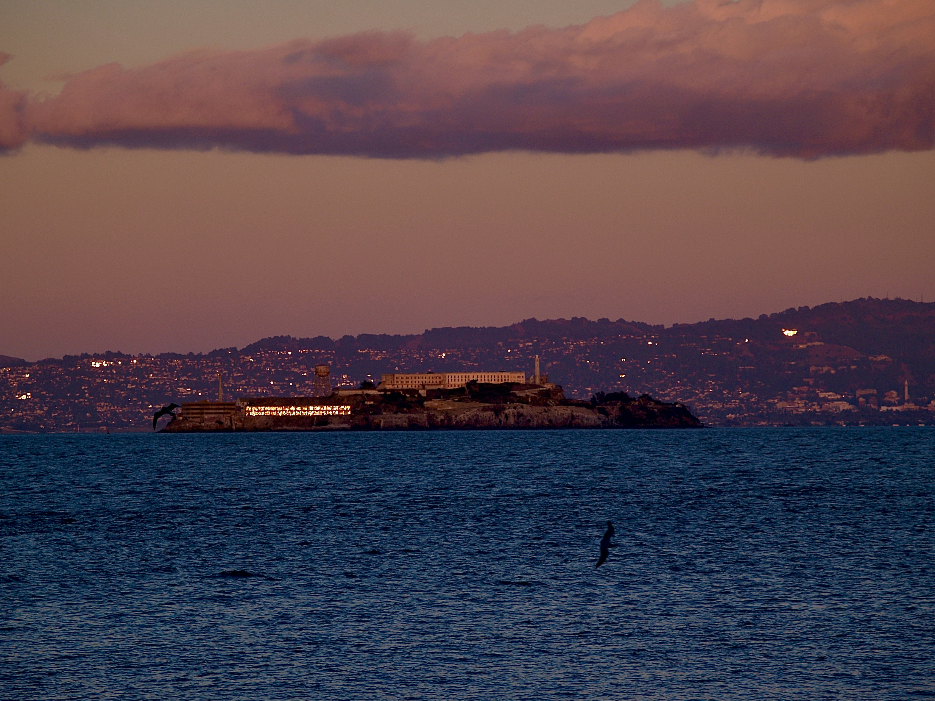 Golden-hued harbor at dusk with a distant island fortification and calm water, silhouette birds skimming the surface.