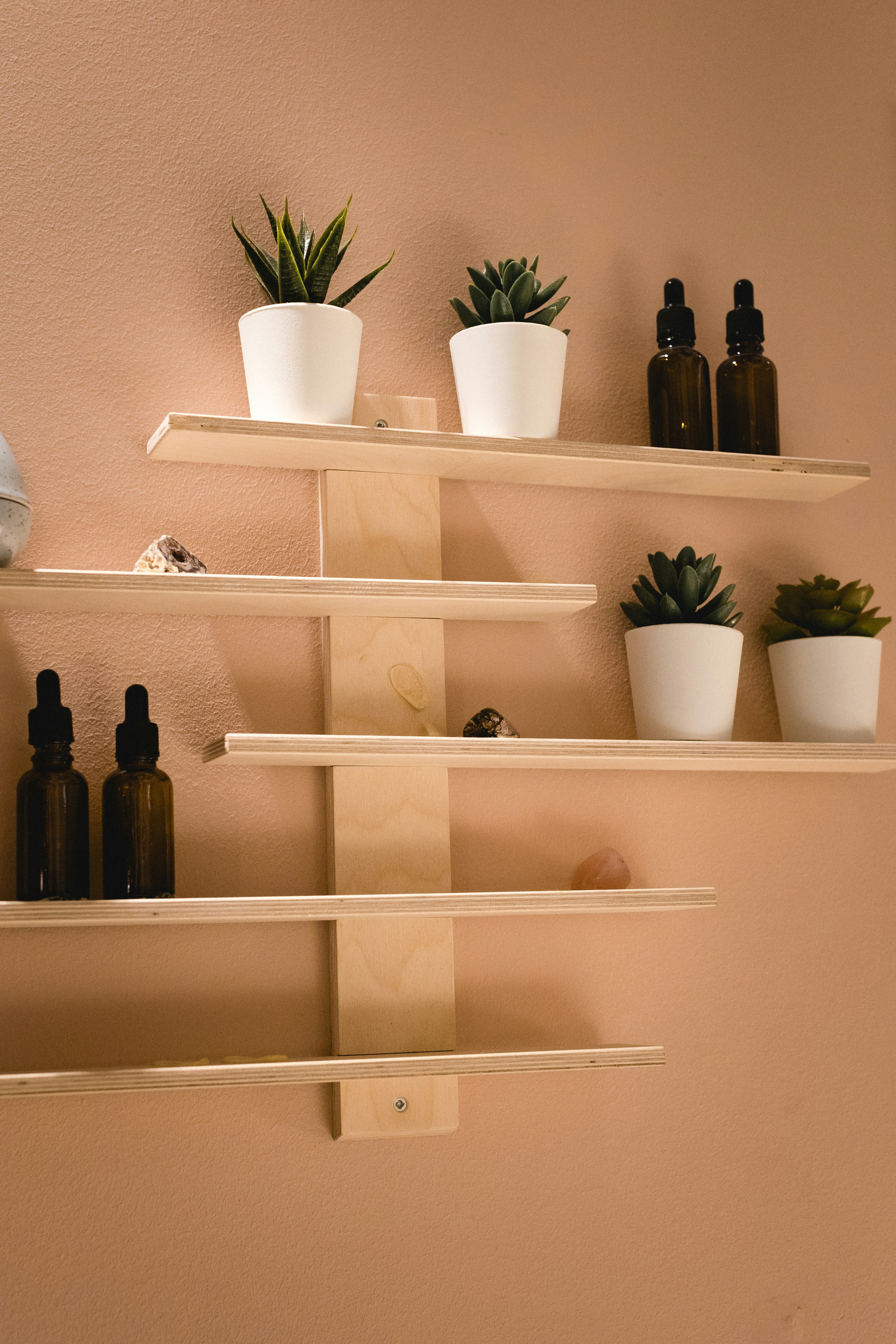 Softly Lit Shelf Garden: Tiny Plants and Oils on a Wooden Bracket