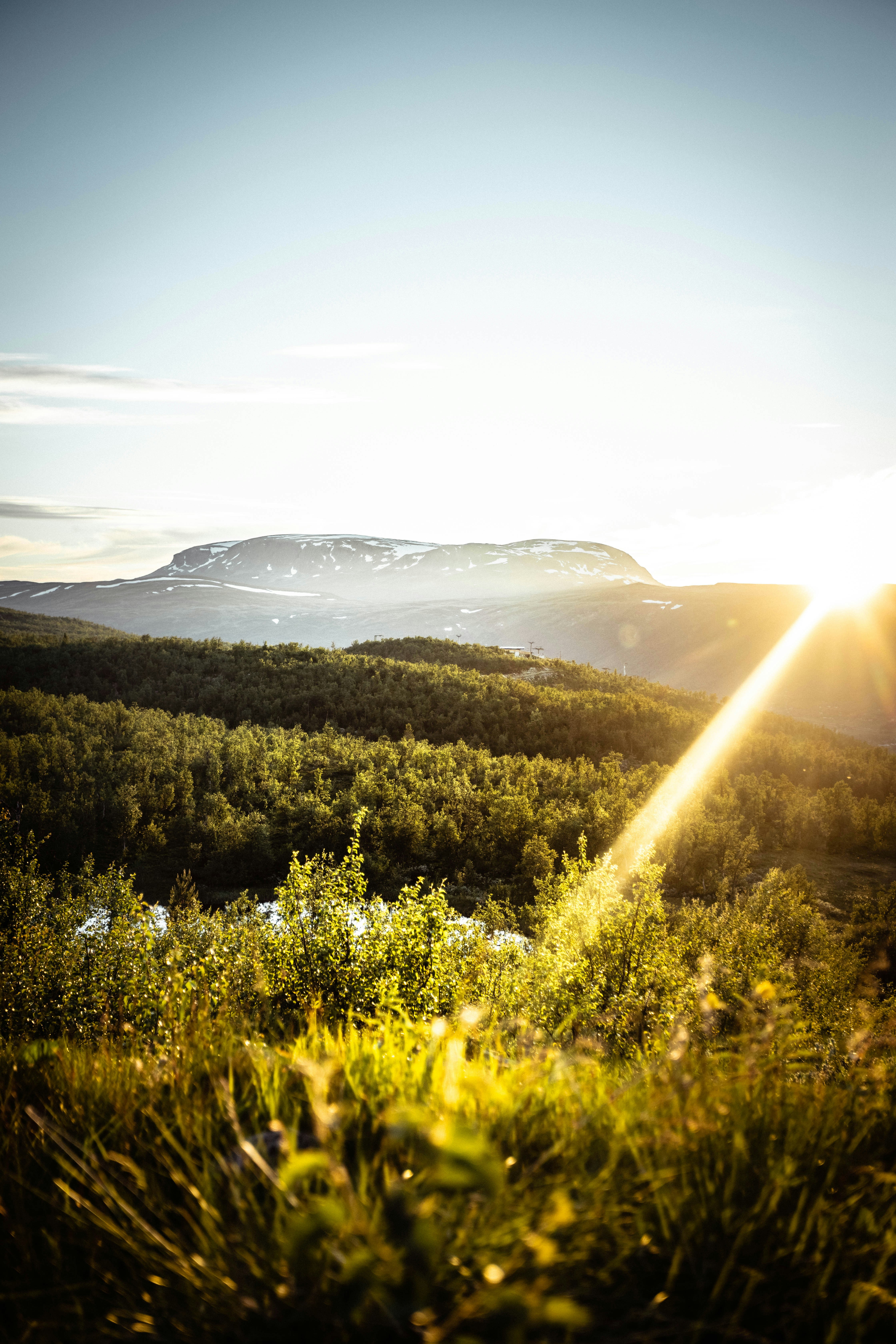 Sunlight streaming through trees onto lush greenery, with distant mountains bathed in warm hues. A serene landscape capturing the essence of nature's tranquility.