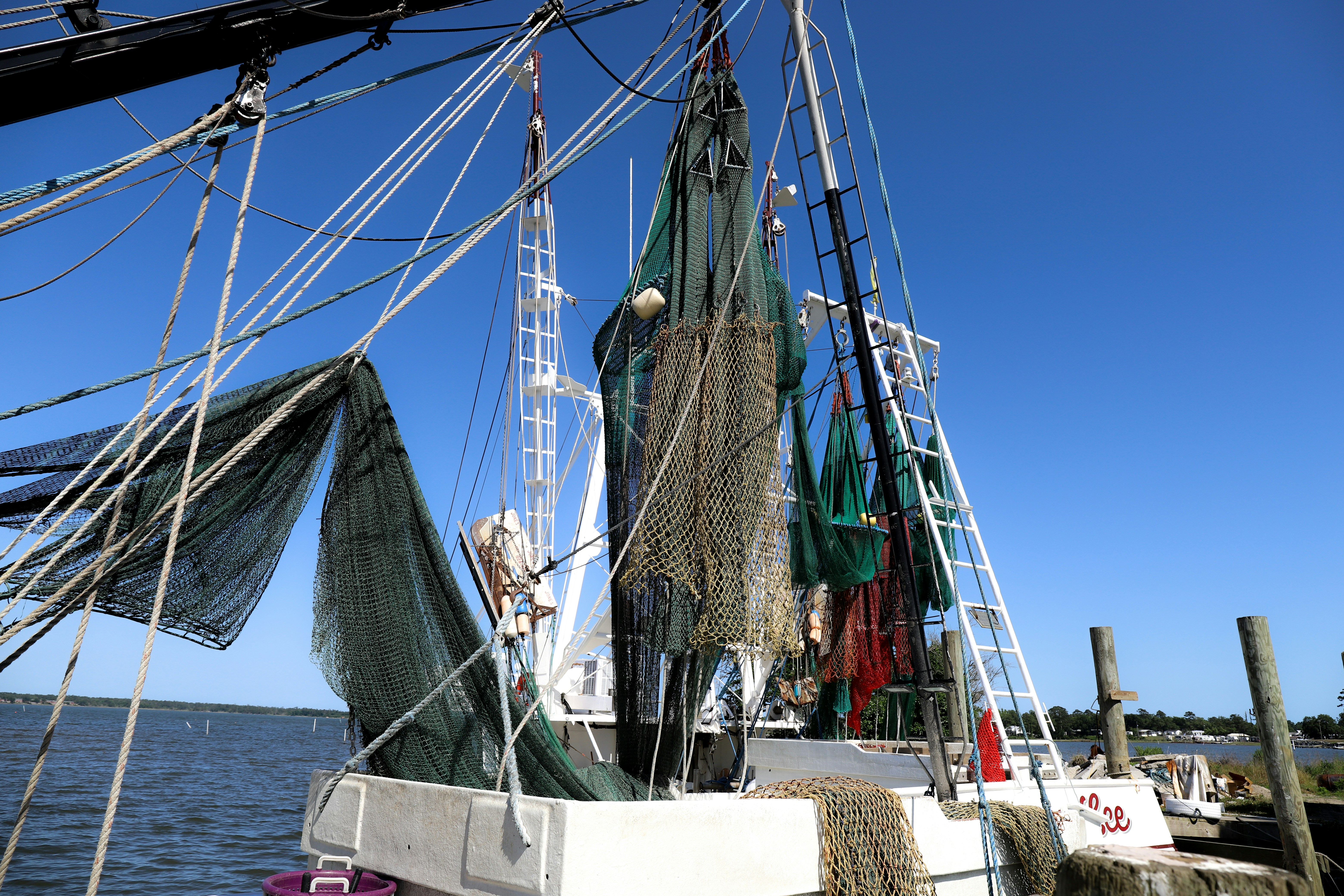 Lines, Nets, and Harbor Light: A Fisherman's Rig on a Quiet Dock