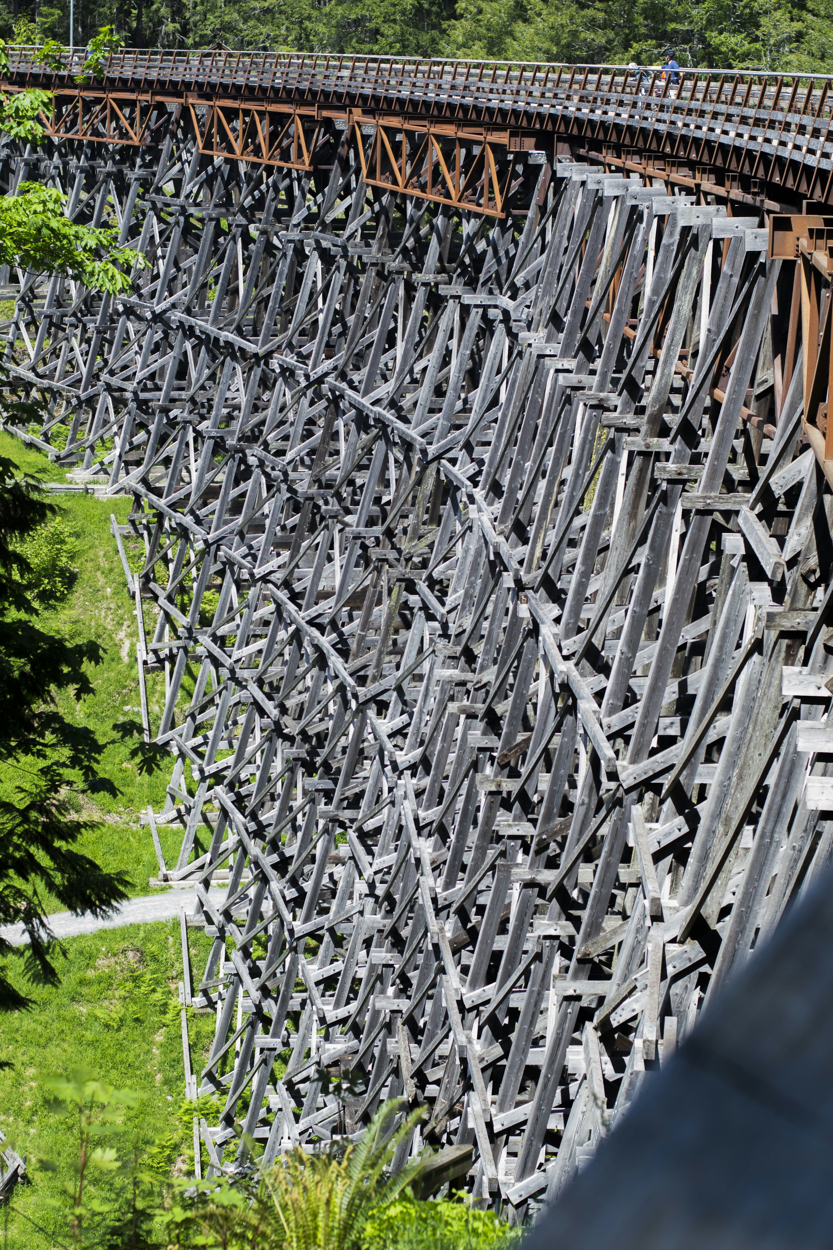 Diagonal Timber: A Wooden Trellis Bridge Spanning a Lush Valley