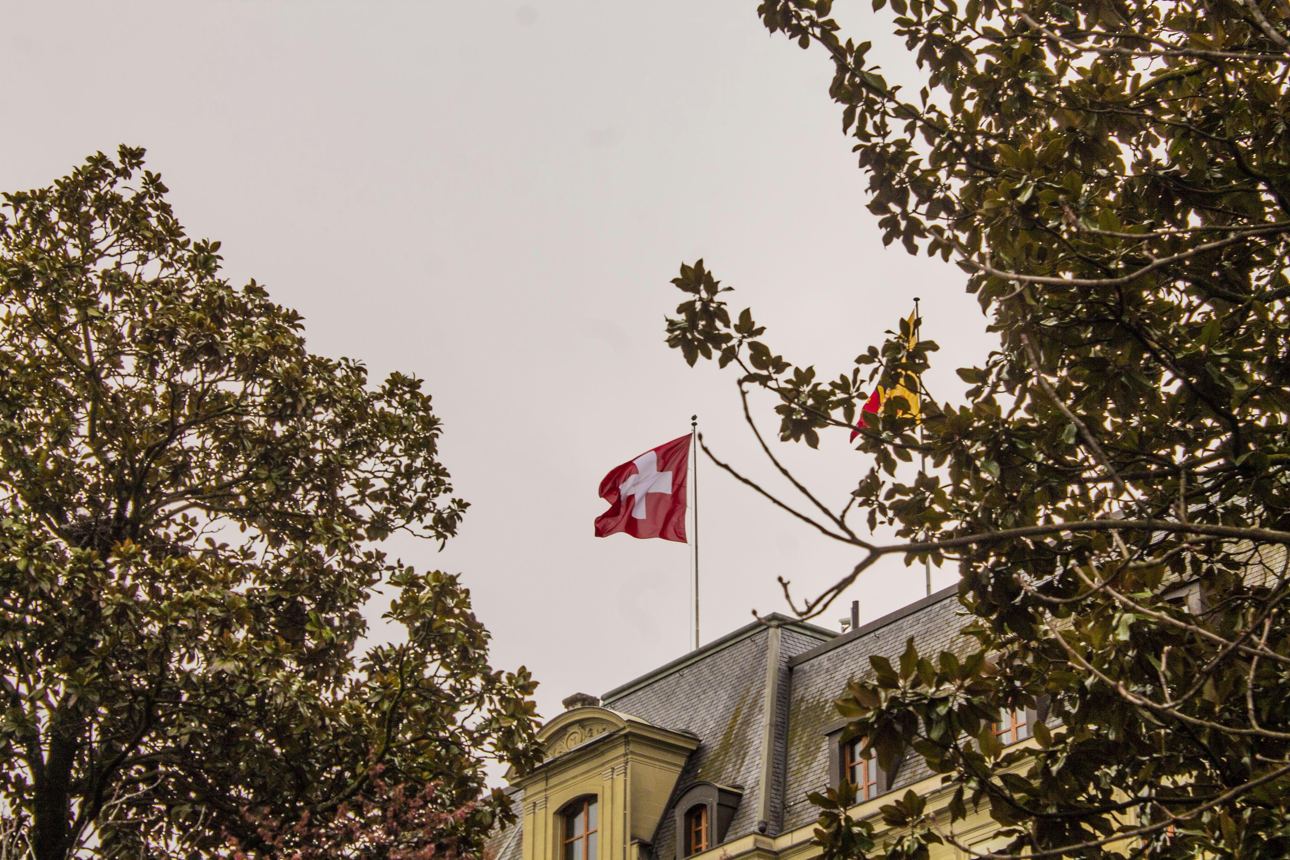 Flag above a mansard roof framed by leafy branches