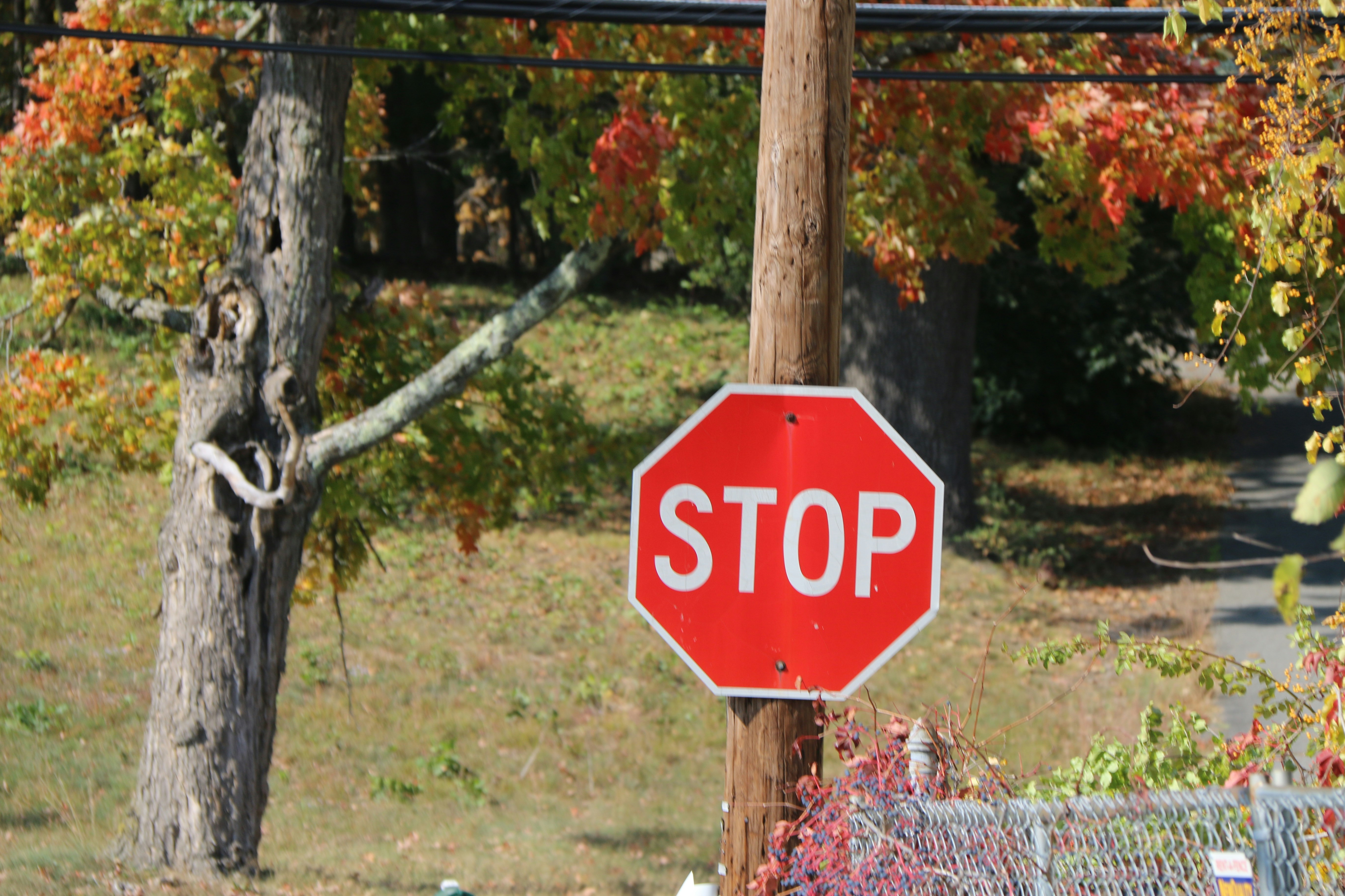 Stop sign in the middle of nowhere.  Rustic setting.  Grass.  Trees.  Metal fence. | red and white stop sign