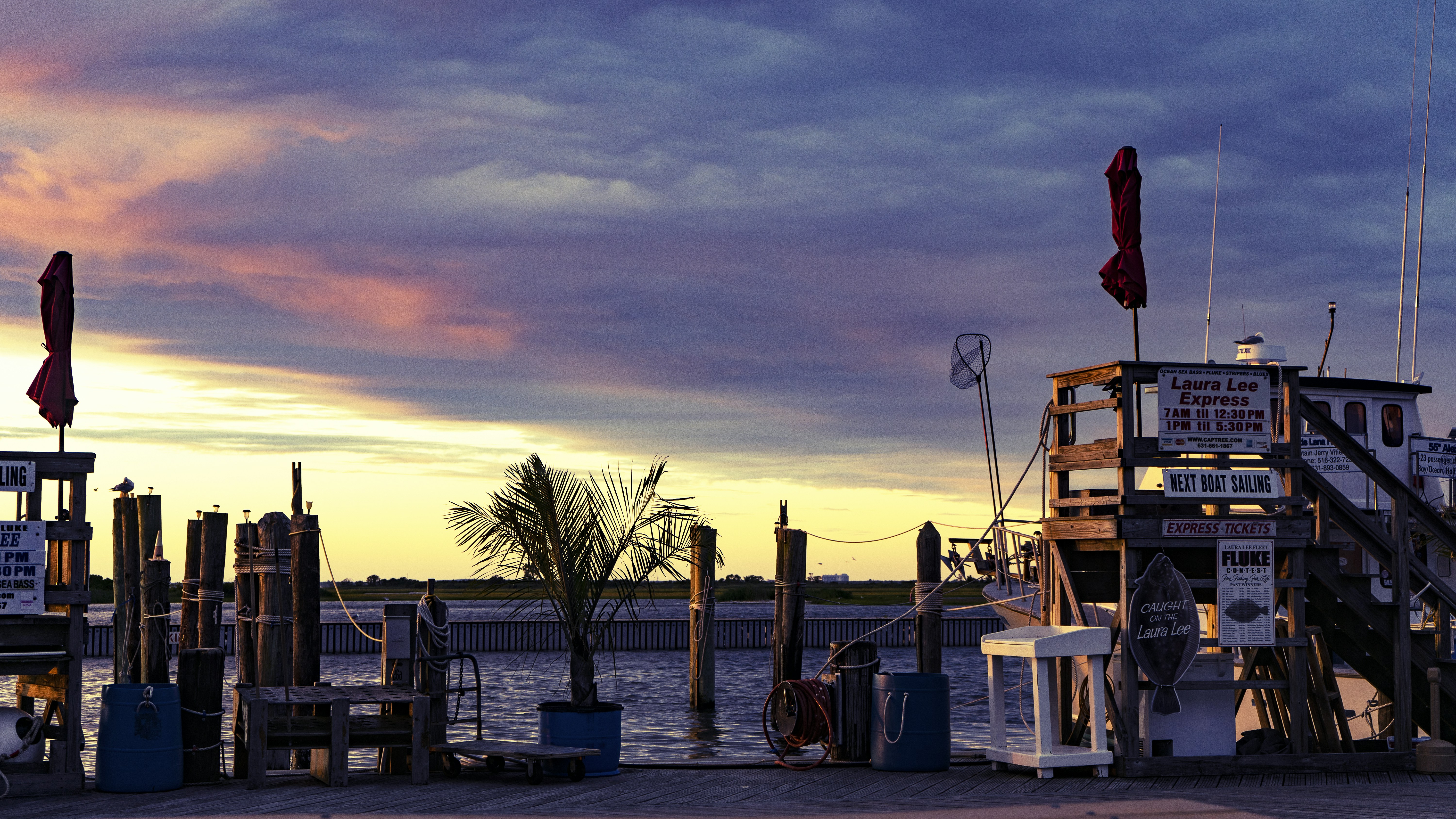 Dusk at the Quiet Marina: Boats, Palms, and Wooden Jetties