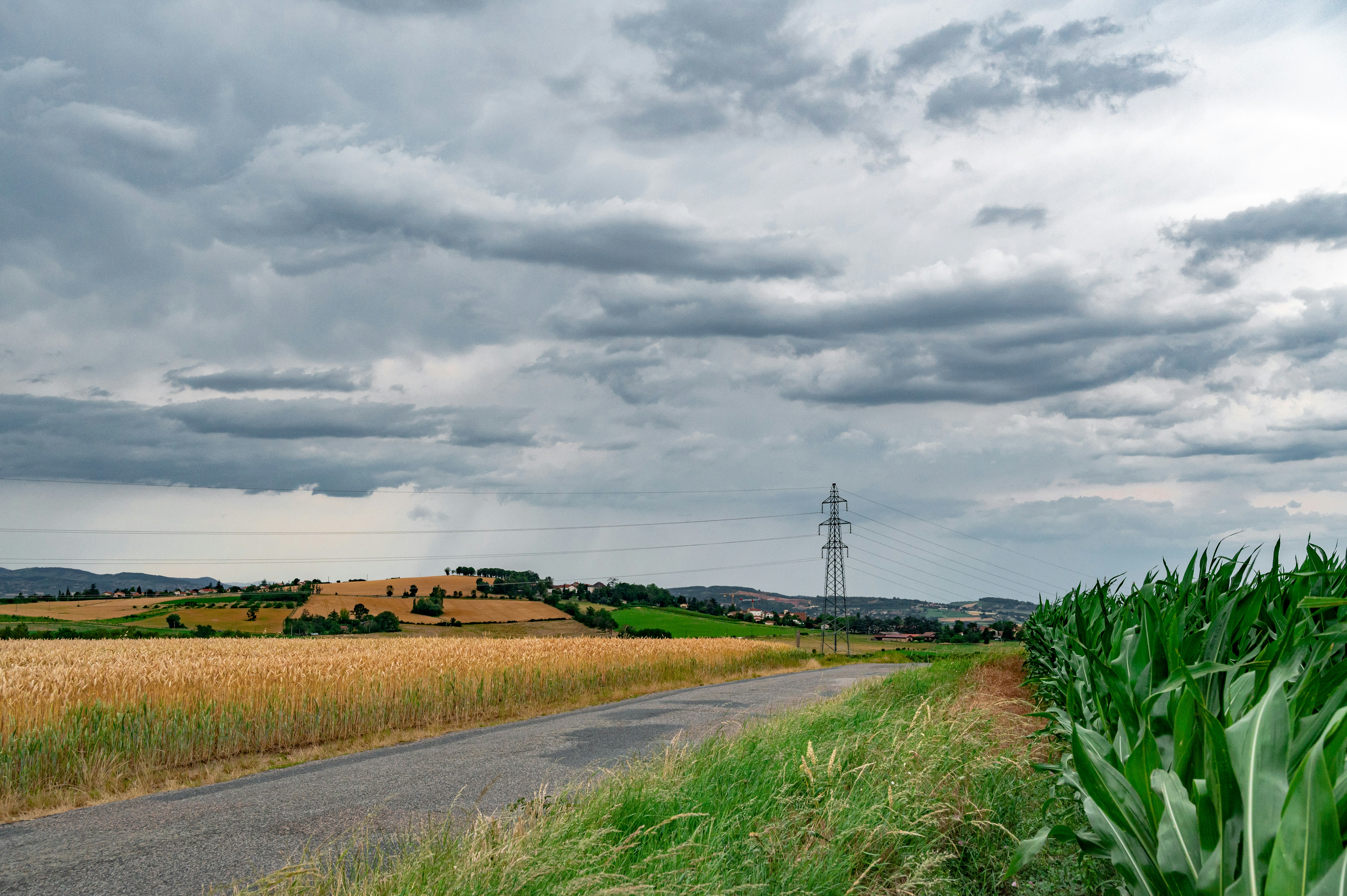 Roadside Field Venture Under A Looming Sky