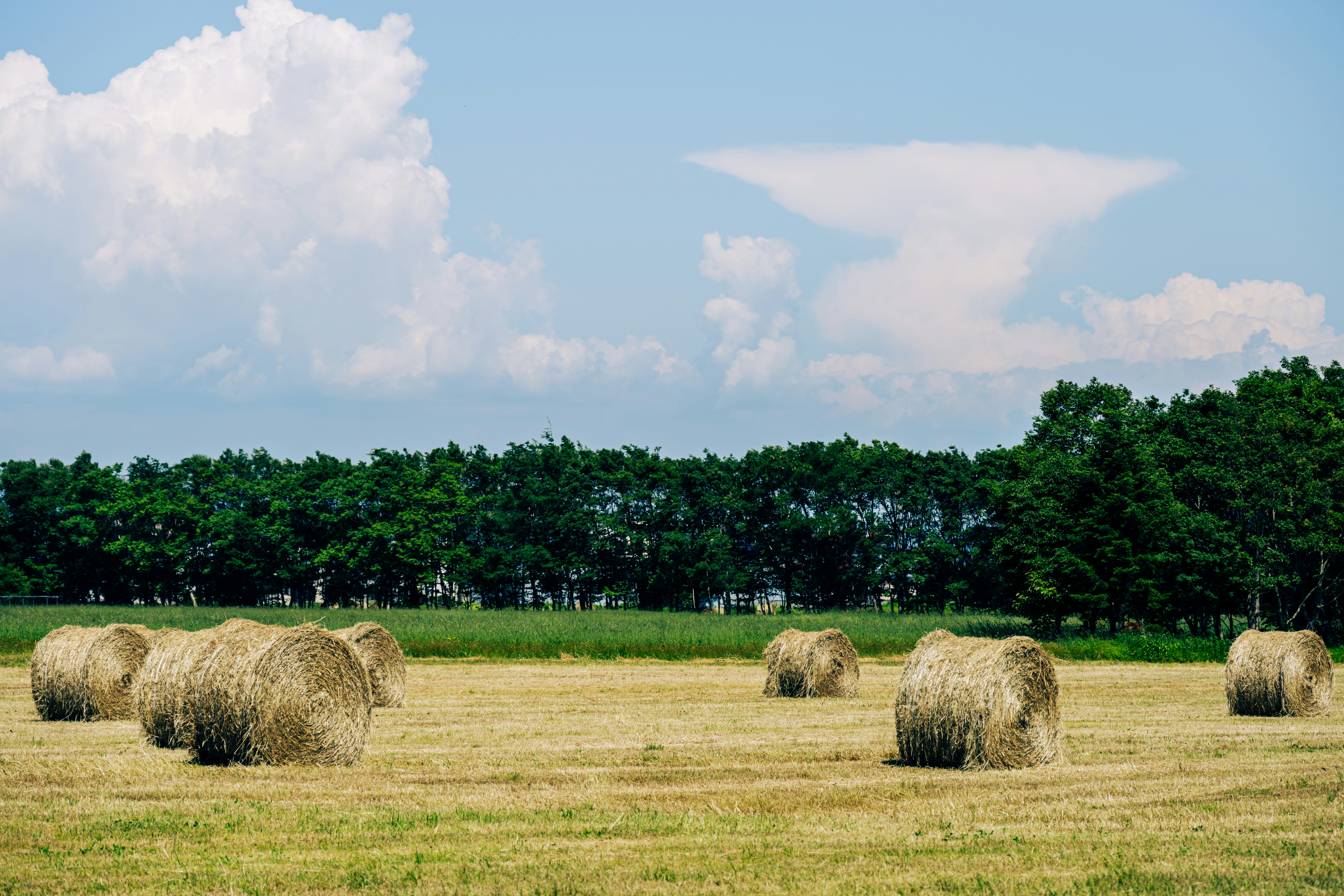 Round hay bales scattered across a sunlit field with a dramatic cloud formation in the blue sky.
