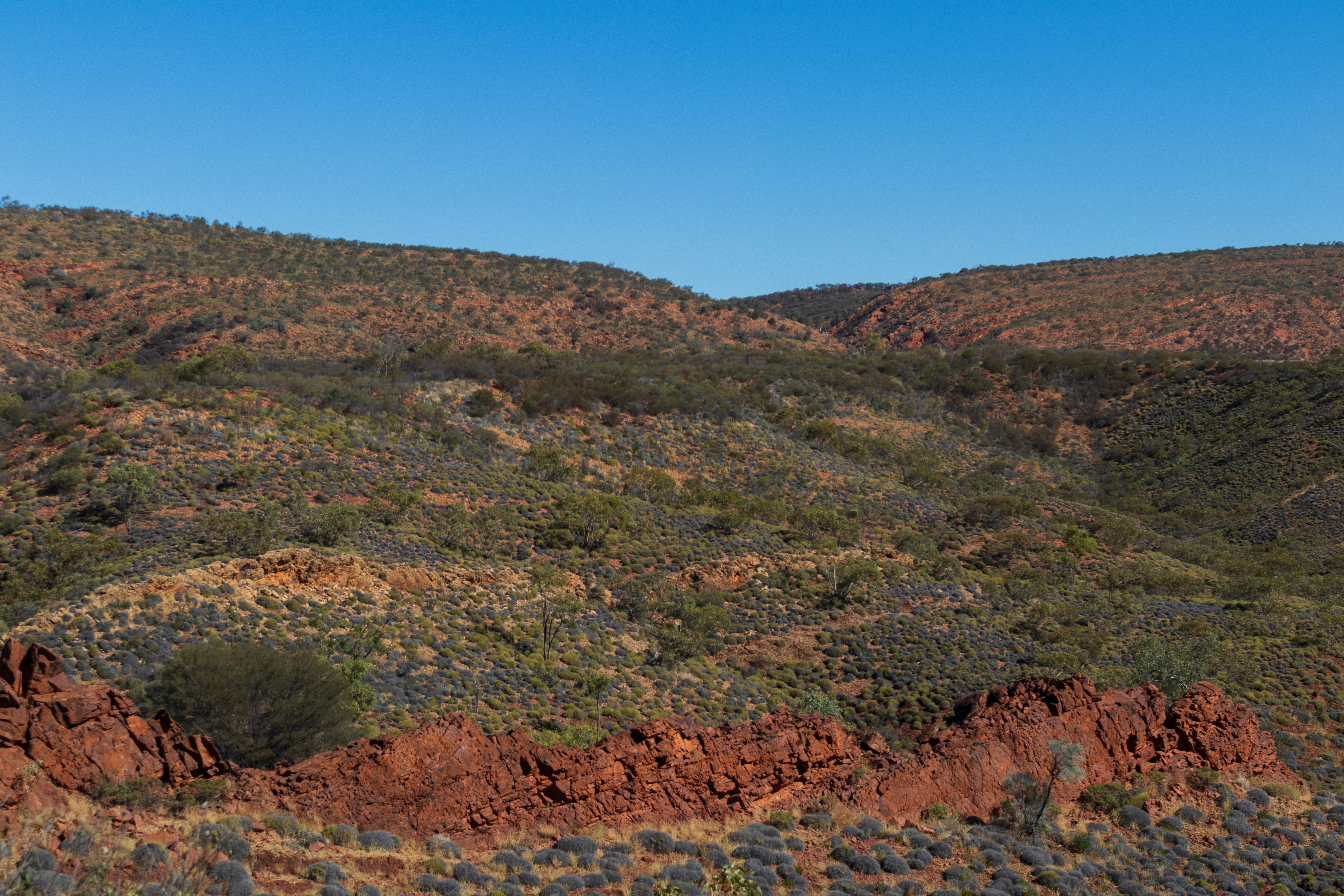 Vibrant desert landscape showcasing layered hills and scattered vegetation under a clear blue sky.