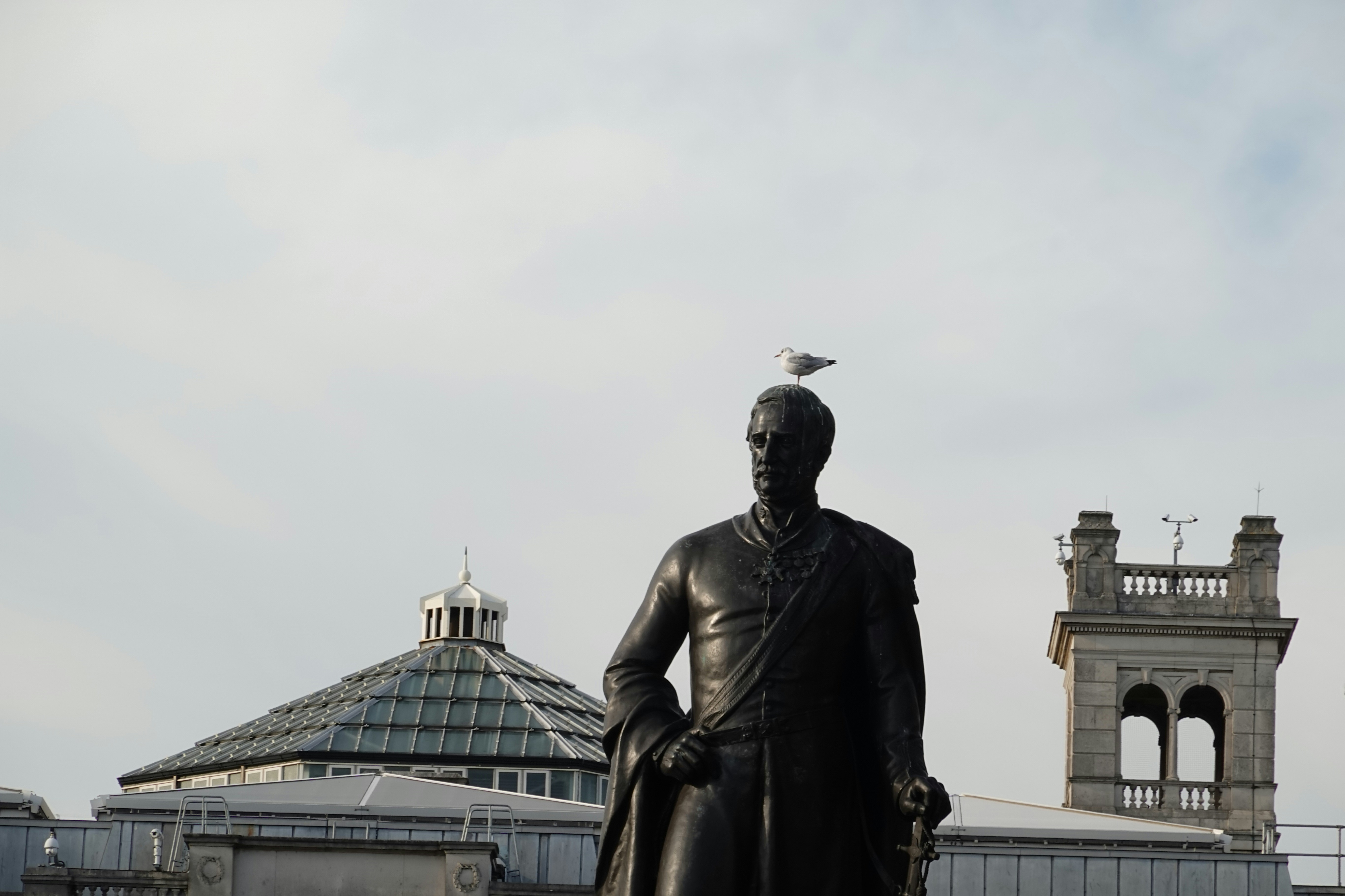 The Watchful Sentinel: A Statue's Silent Vigil
