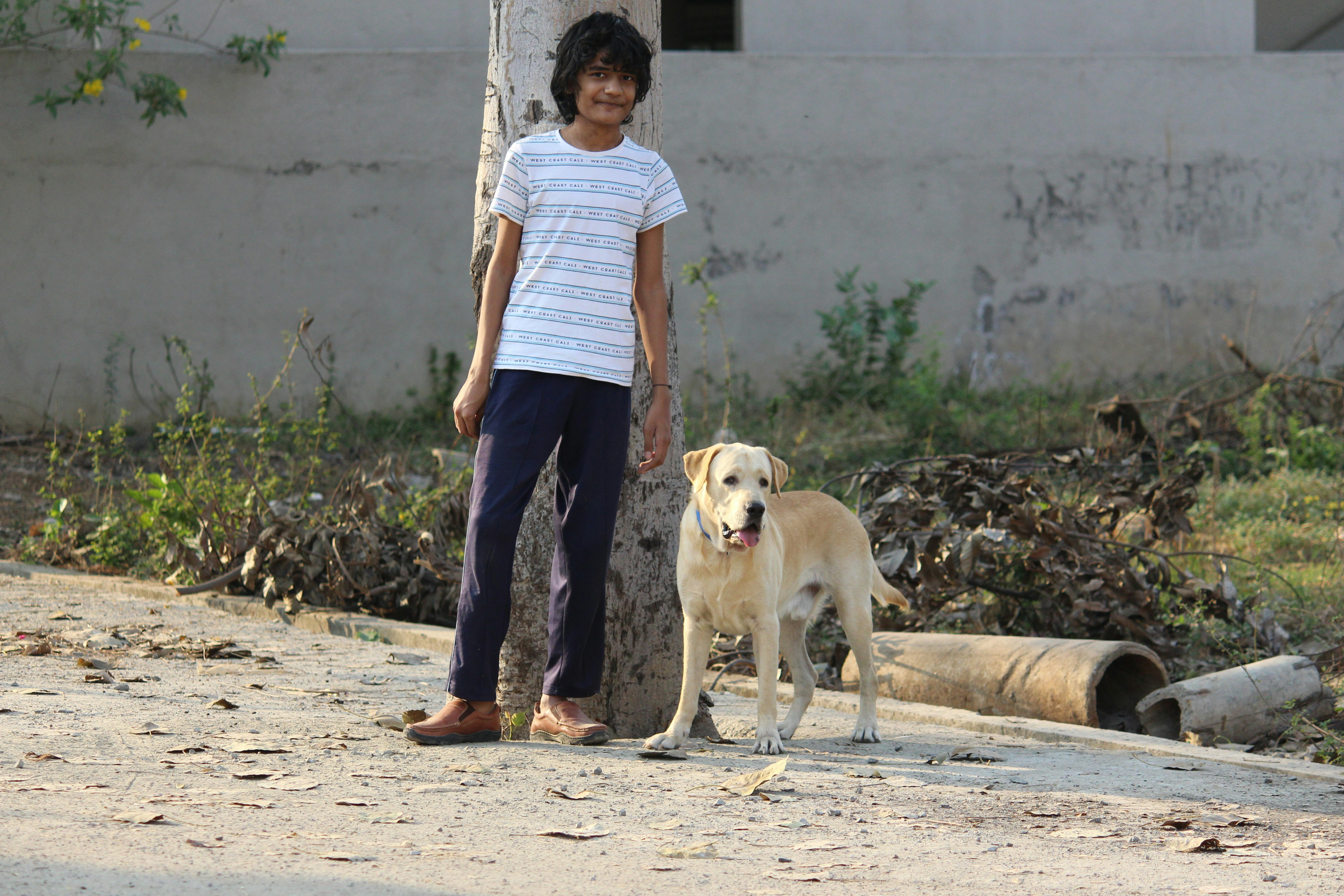 Woman in blue shirt and blue denim jeans holding white short coated dog ...