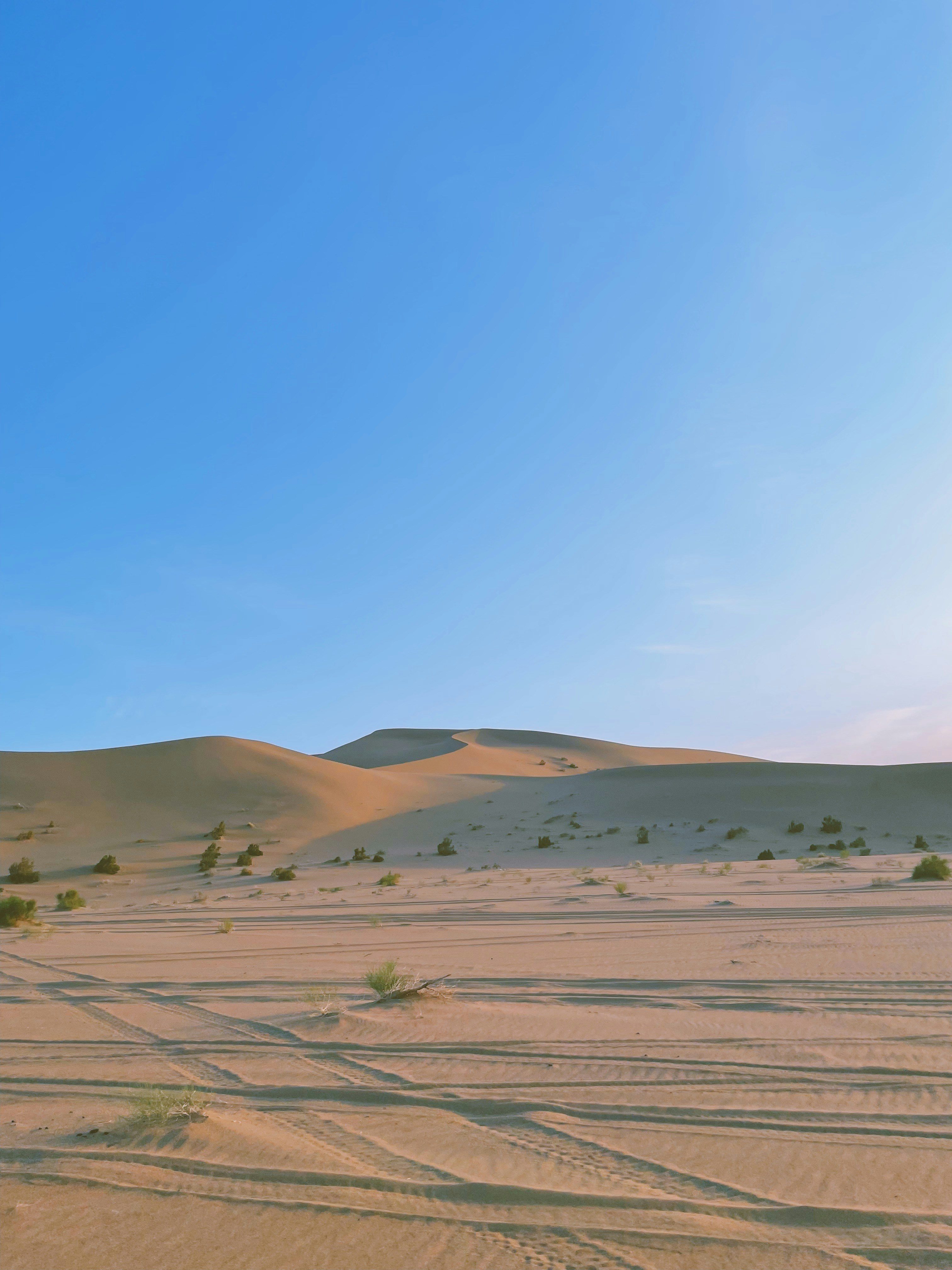 Crestline at Dune’s Edge: Quiet Light Across Open Sand