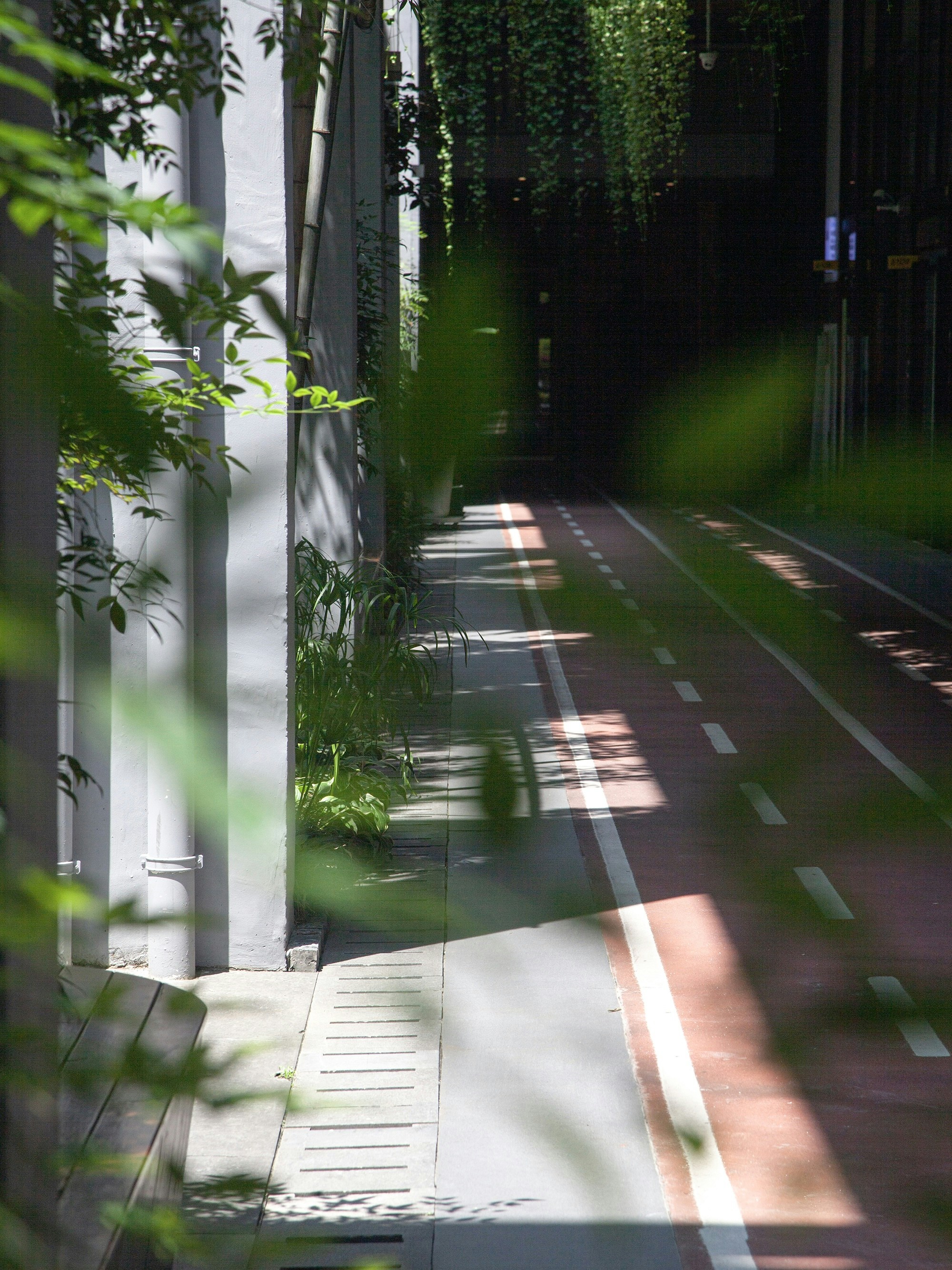A serene urban pathway flanked by lush greenery and sunlight filtering through leaves, inviting exploration. The scene captures a harmonious blend of nature and architecture.