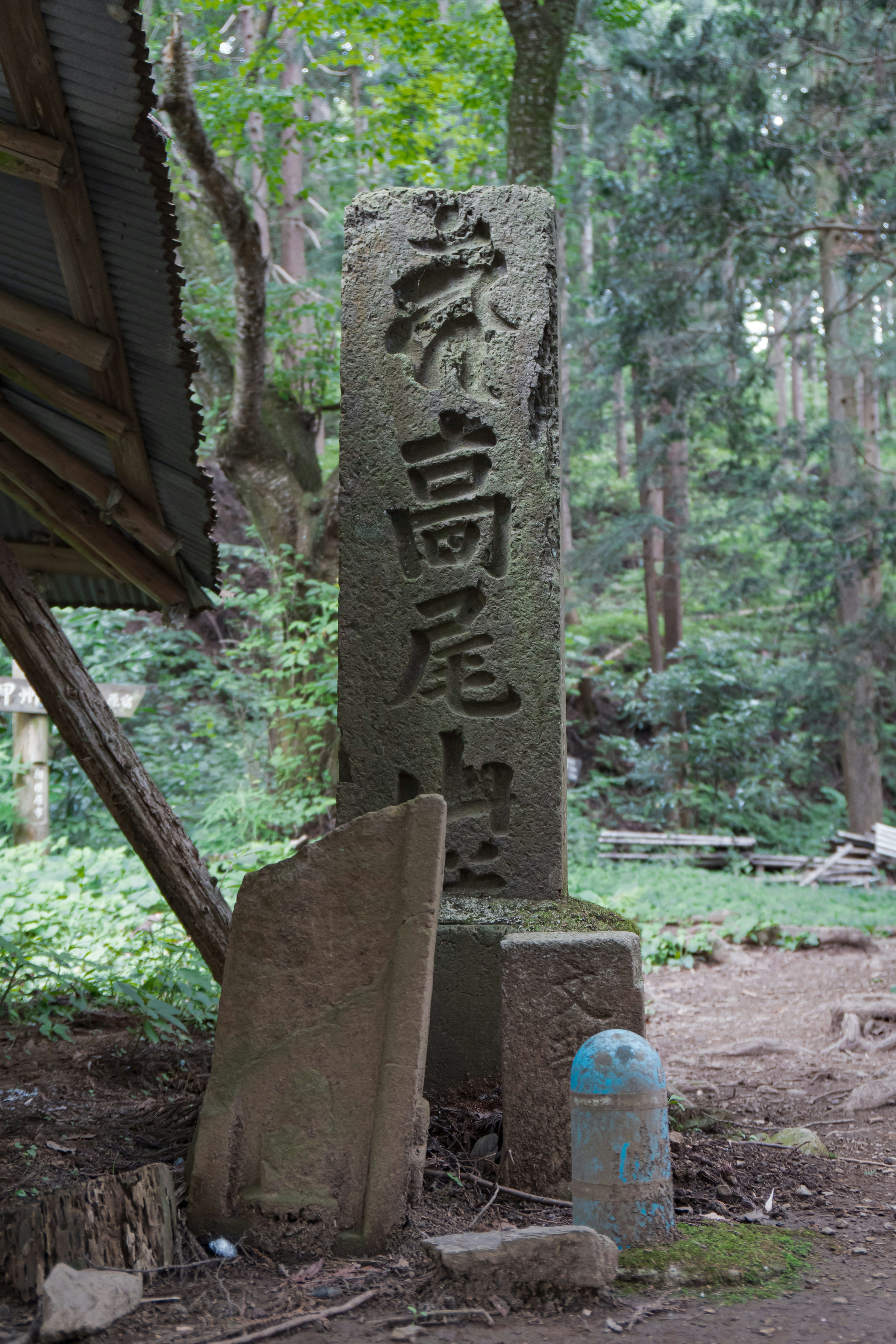 Weathered Stone Stele Standing Watch Among Cedar Pines