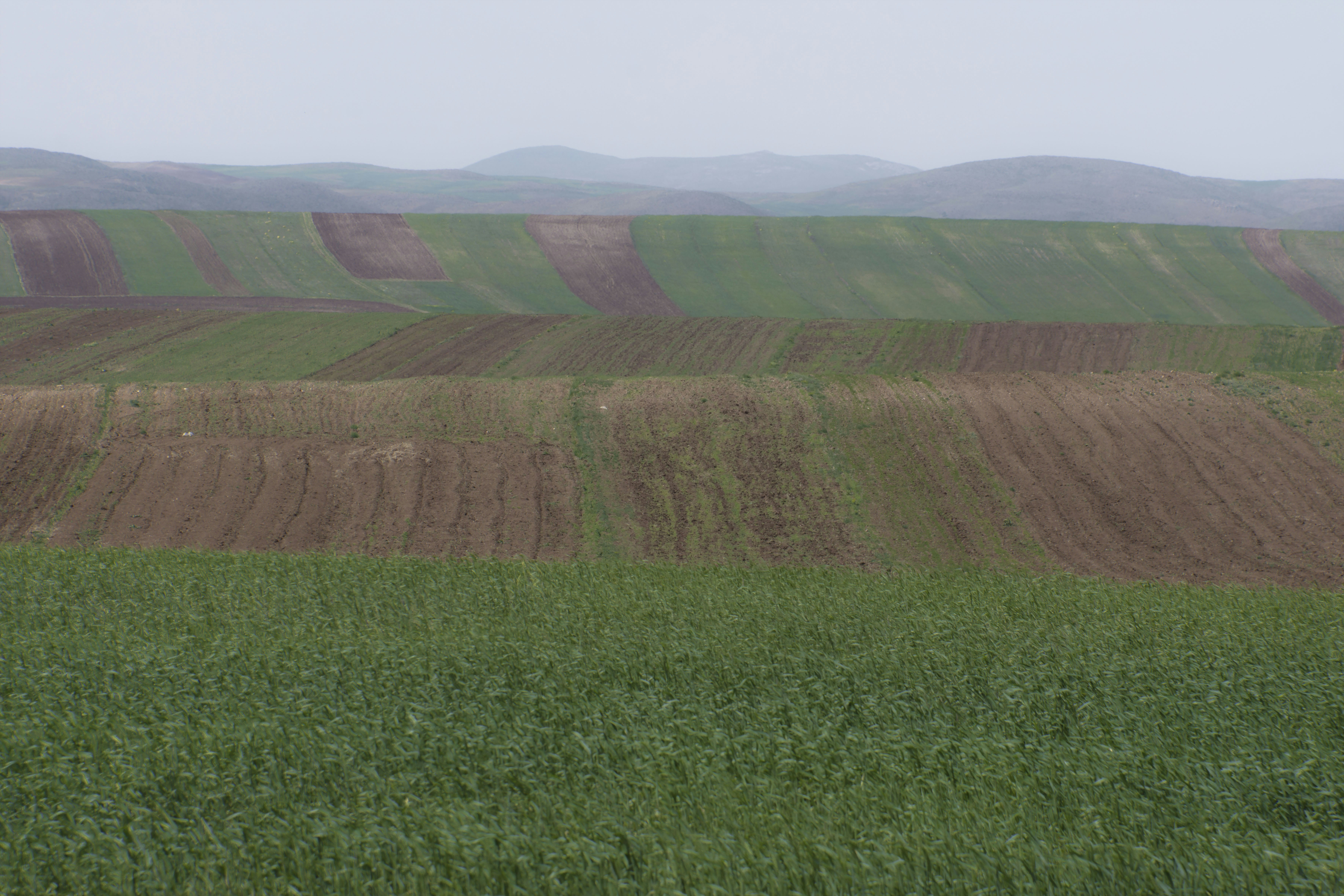 Vibrant fields of varying shades of green and brown stretch across the landscape, showcasing the beauty of agricultural patterns. The distant hills create a serene backdrop.