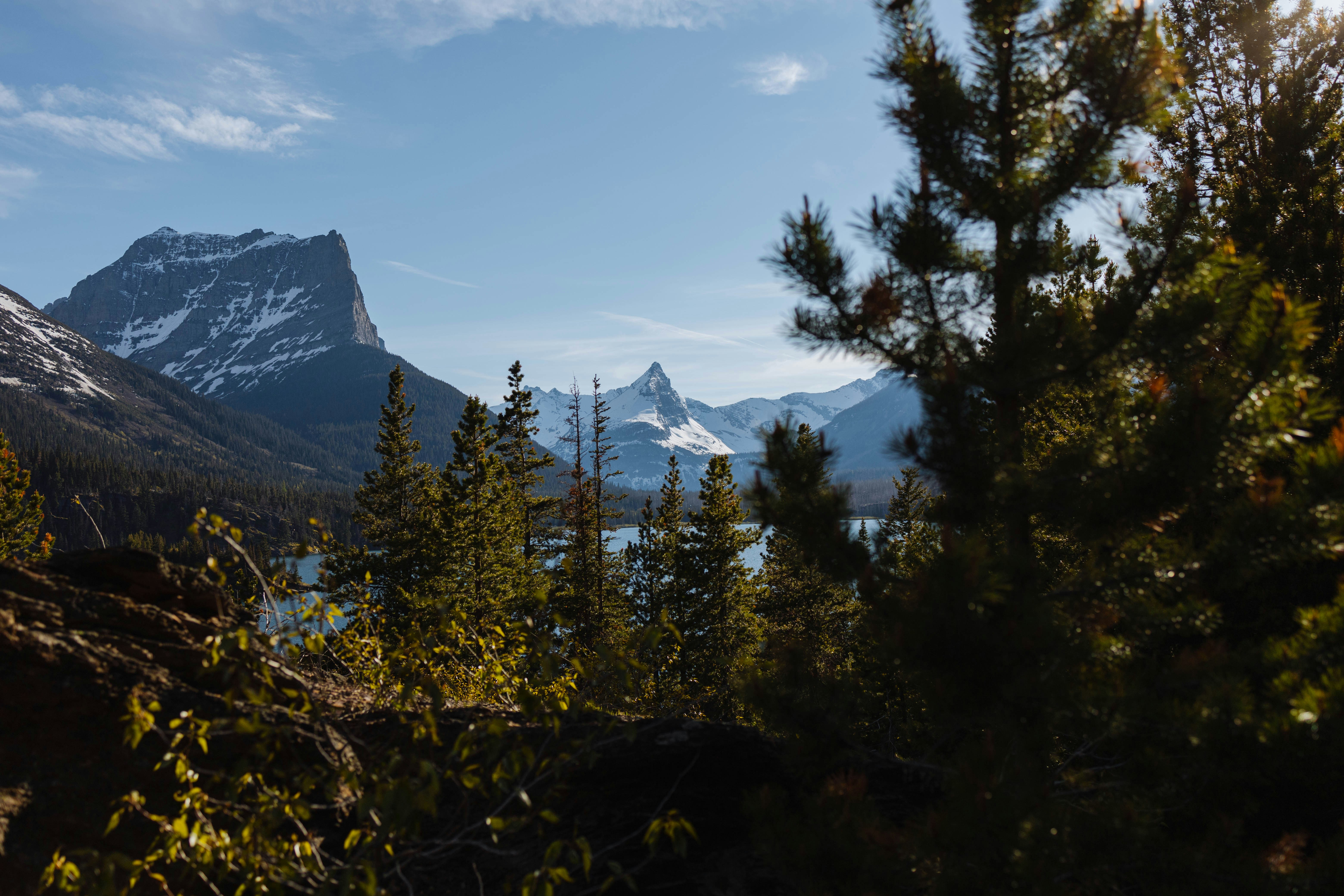 Snow-capped peaks rise majestically behind a foreground of lush evergreens, capturing the essence of a serene alpine landscape.