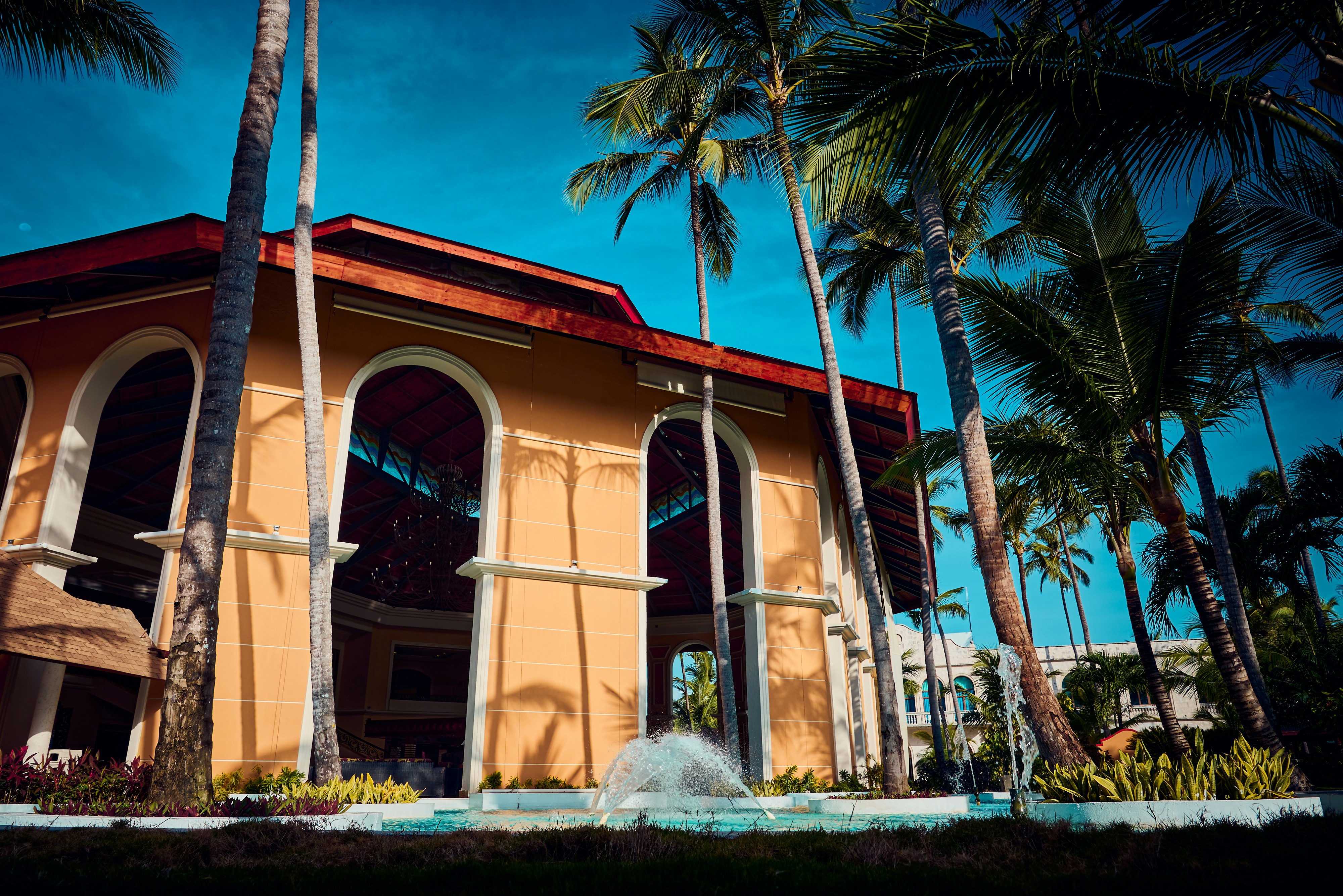 Elegant building framed by palm trees and a vibrant blue sky, showcasing a water feature in the foreground. 