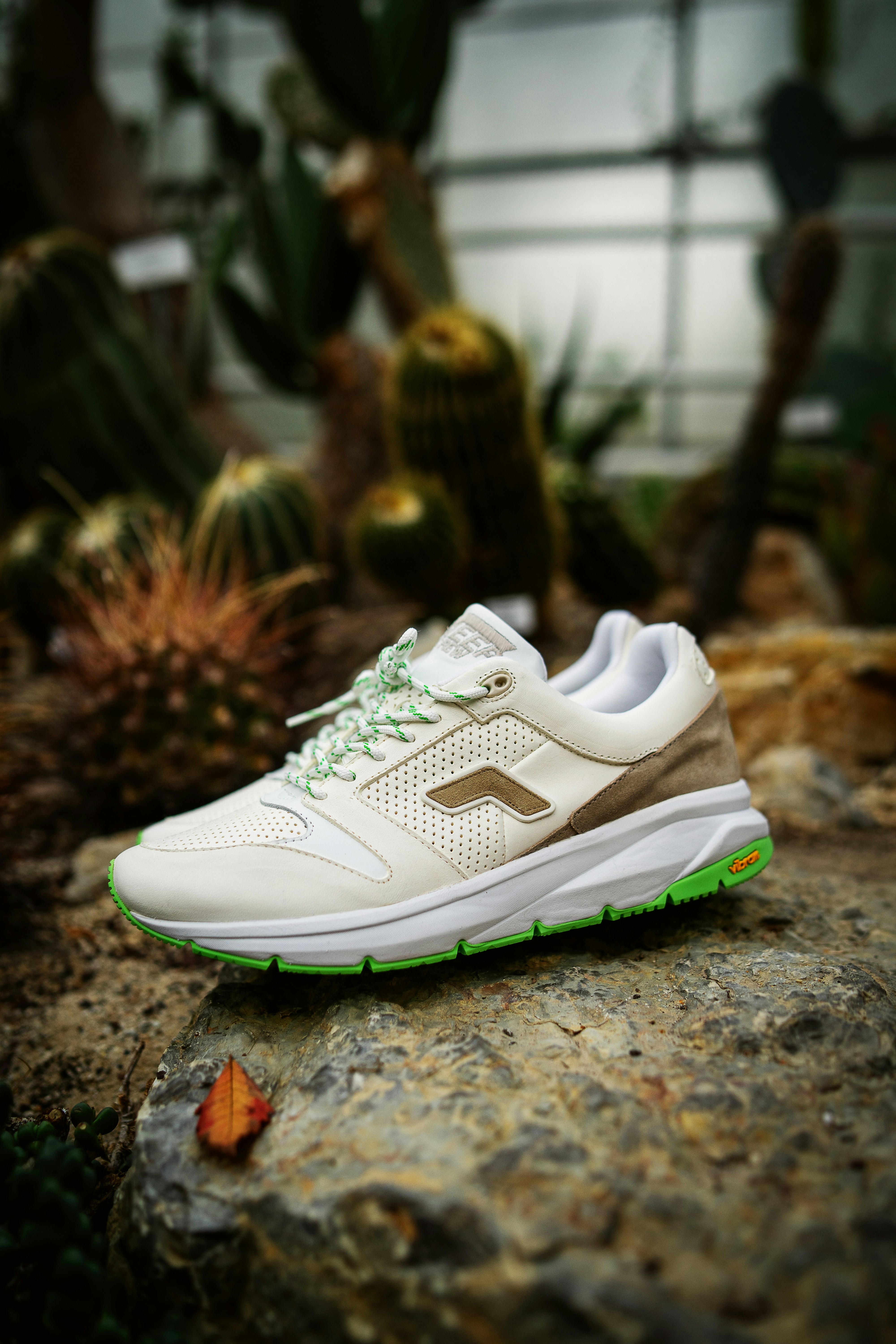 Cream Sneaker on Weathered Rock Beneath a Cactus-Filled Greenhouse