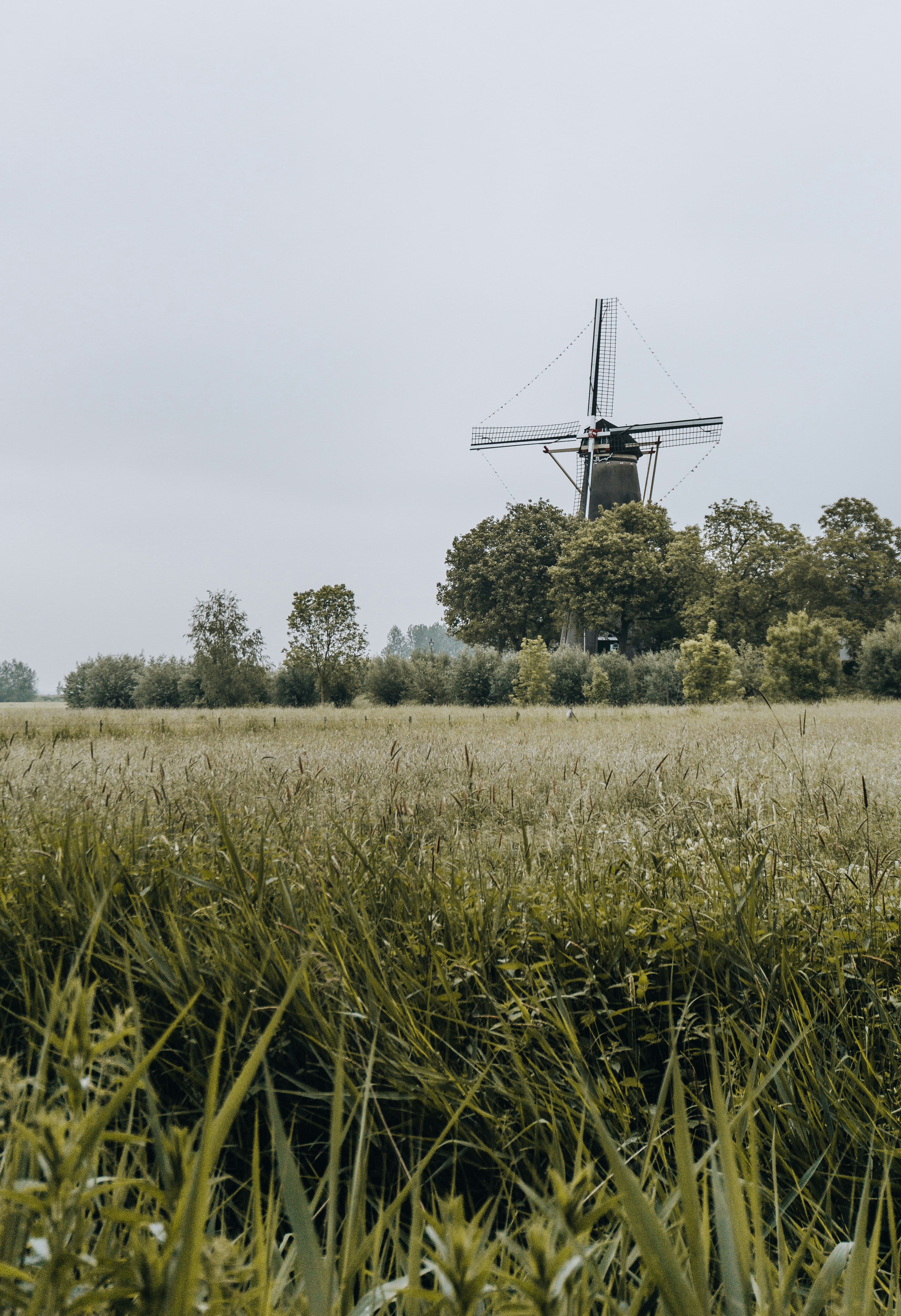 Silent Windmill Above the Prairie