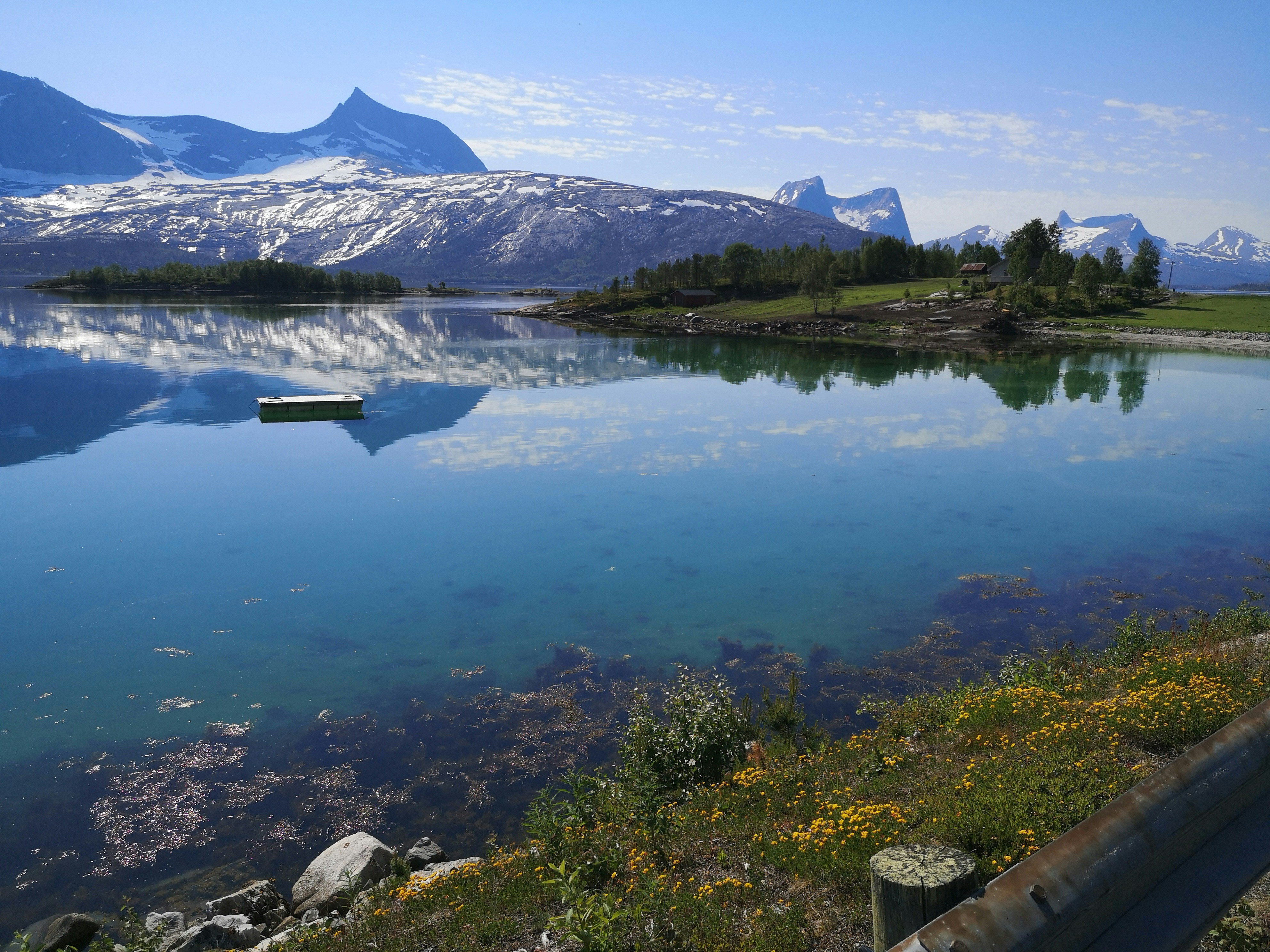 Vibrant wildflowers line the shore of a serene fjord, reflecting majestic snow-capped mountains and a clear blue sky in the still waters.