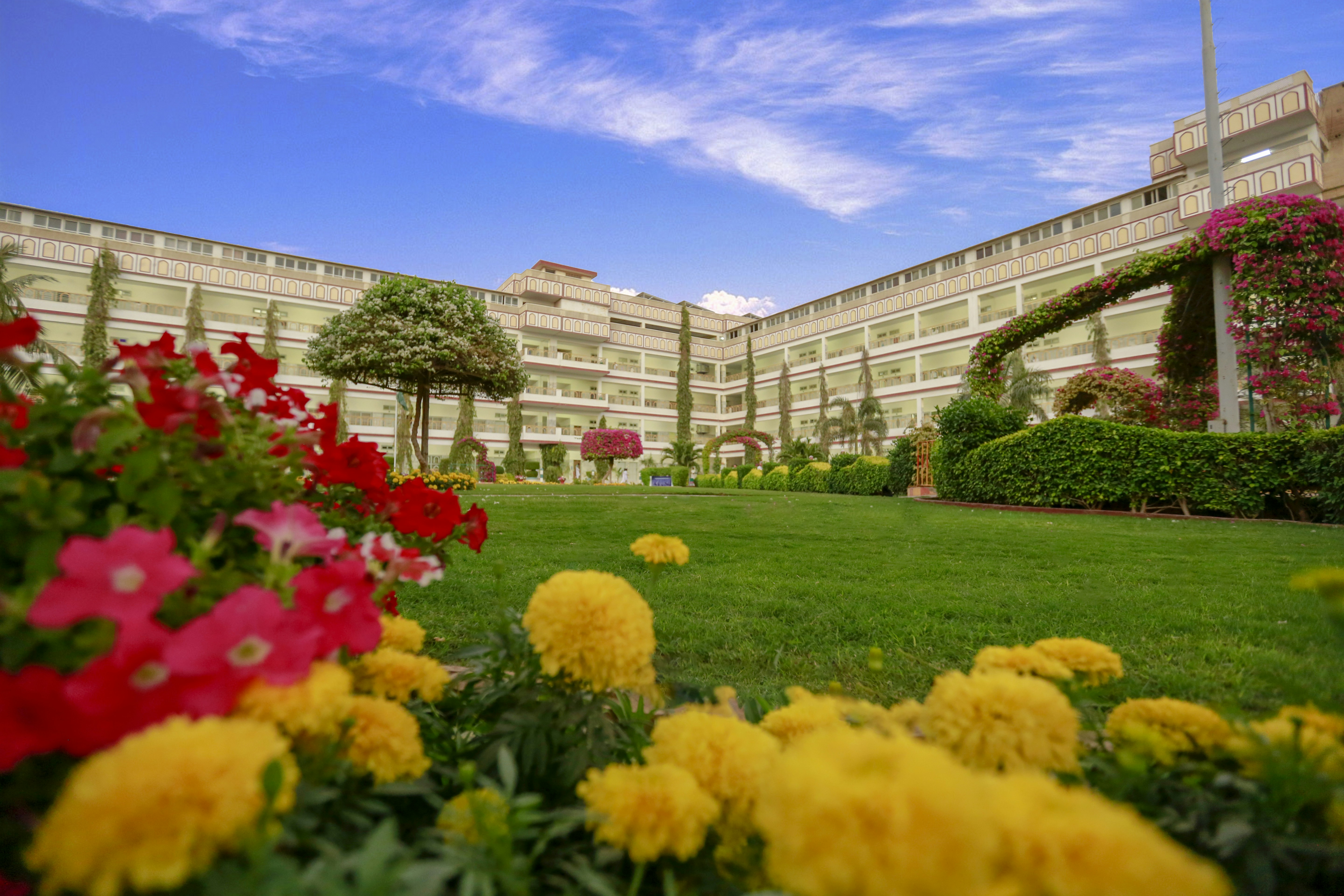 Yellow and red flowers bloom in a vibrant garden beside a large white building under a clear blue sky.
