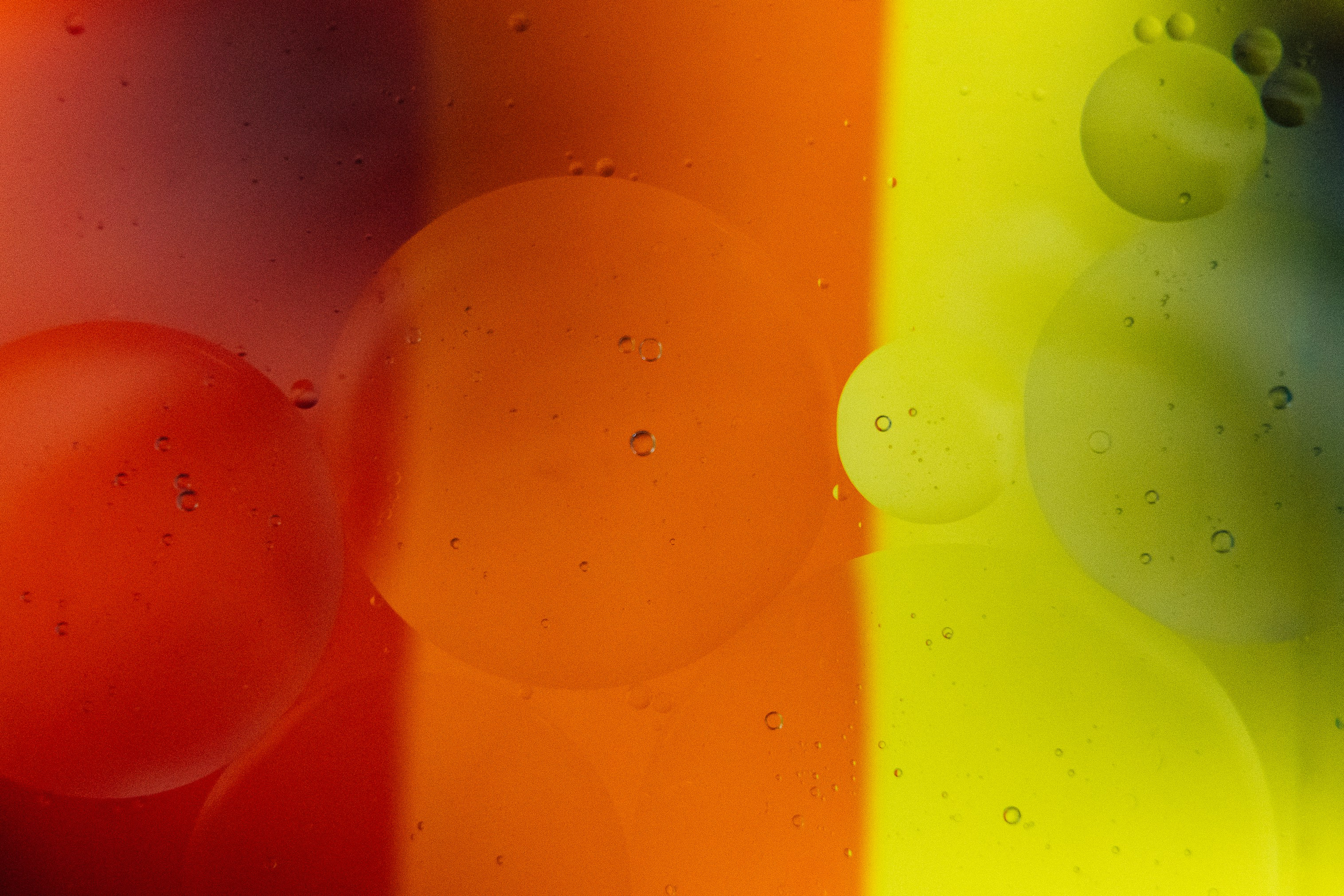 Boules en plastique jaunes et rouges photo – Photo Macro Gratuite sur ...