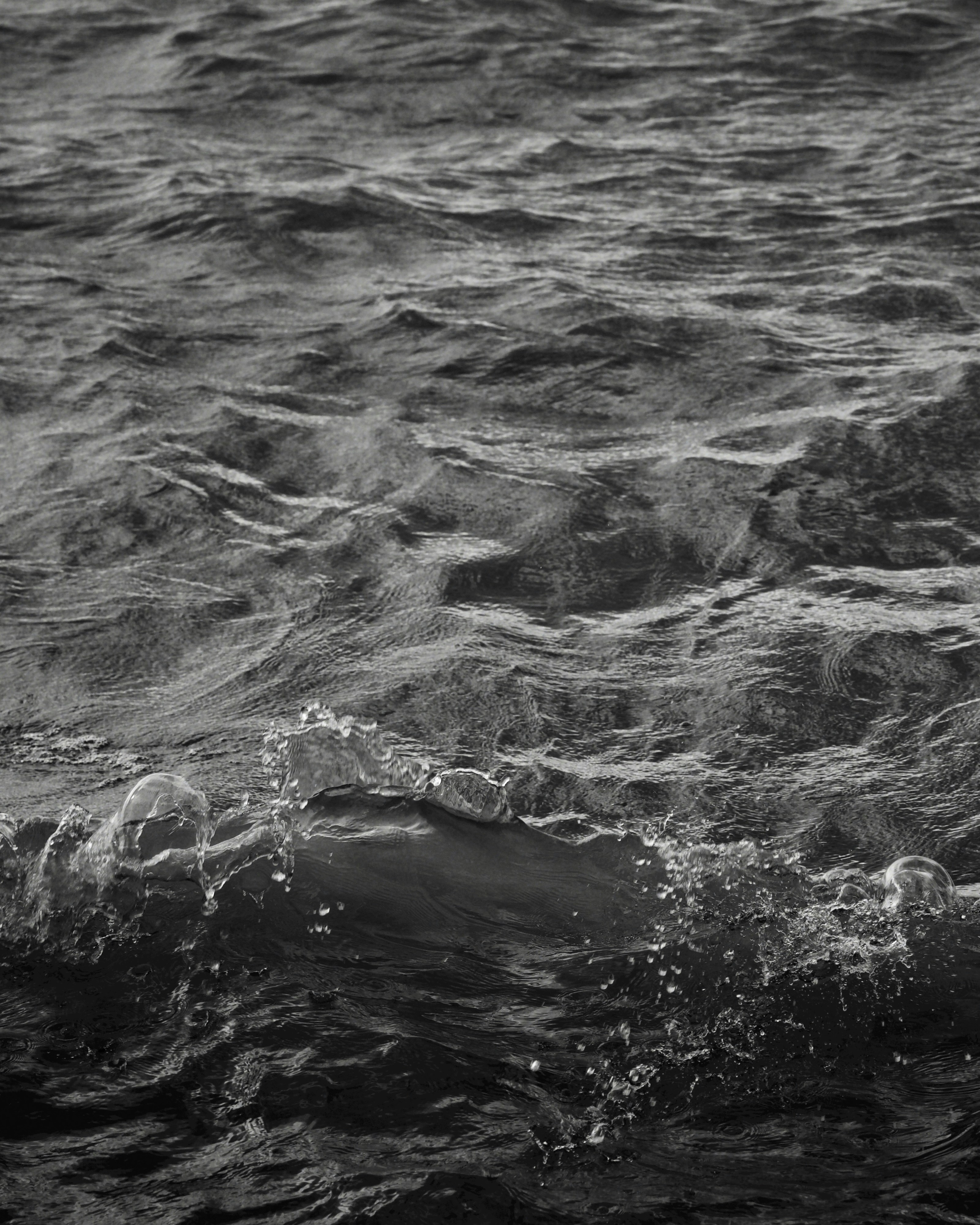 Water waves in grayscale photography photo – Free Balaton Image on Unsplash