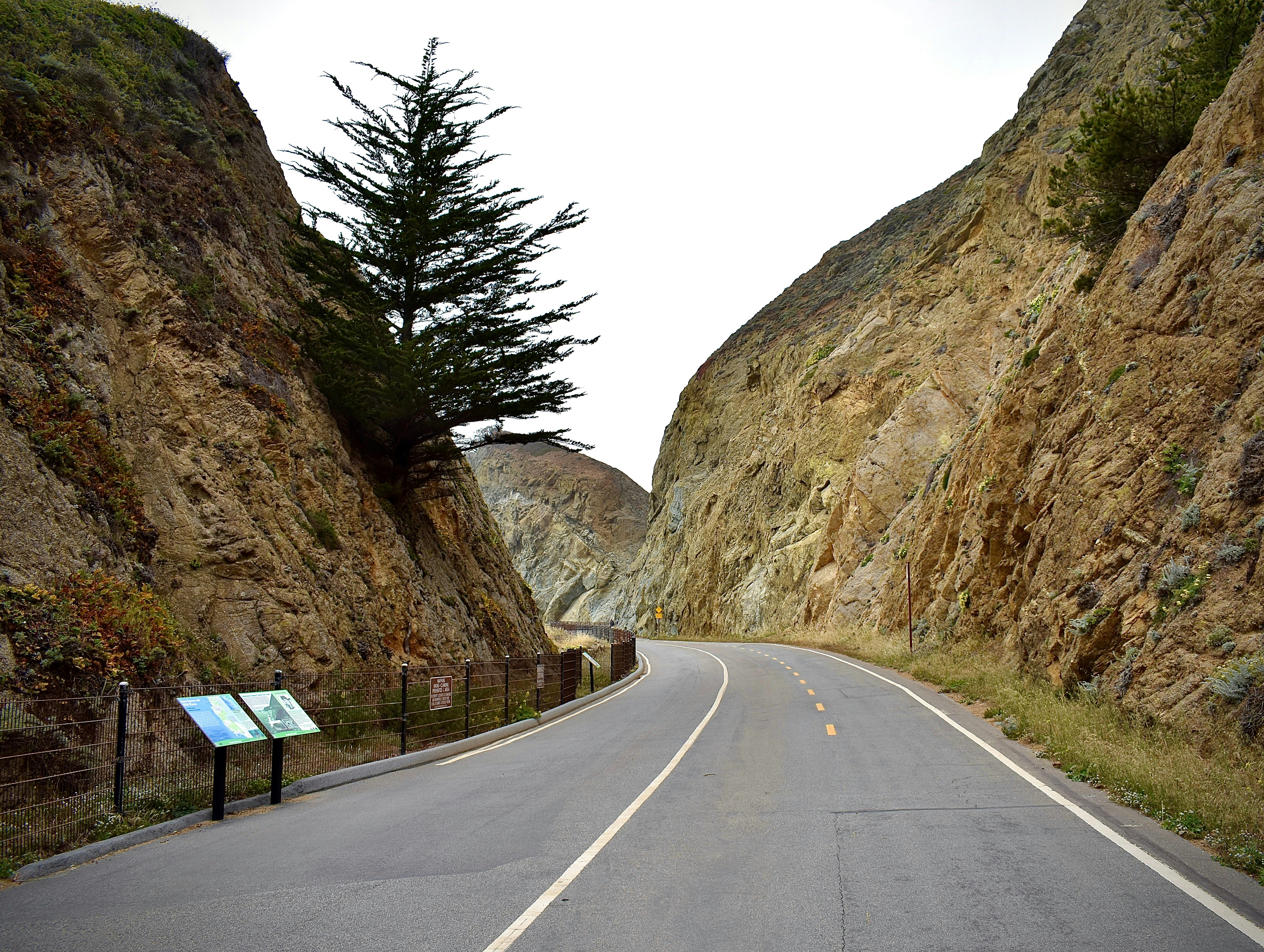 Curving road flanked by towering rocky cliffs and a lone tree, inviting exploration of the landscape's rugged beauty.