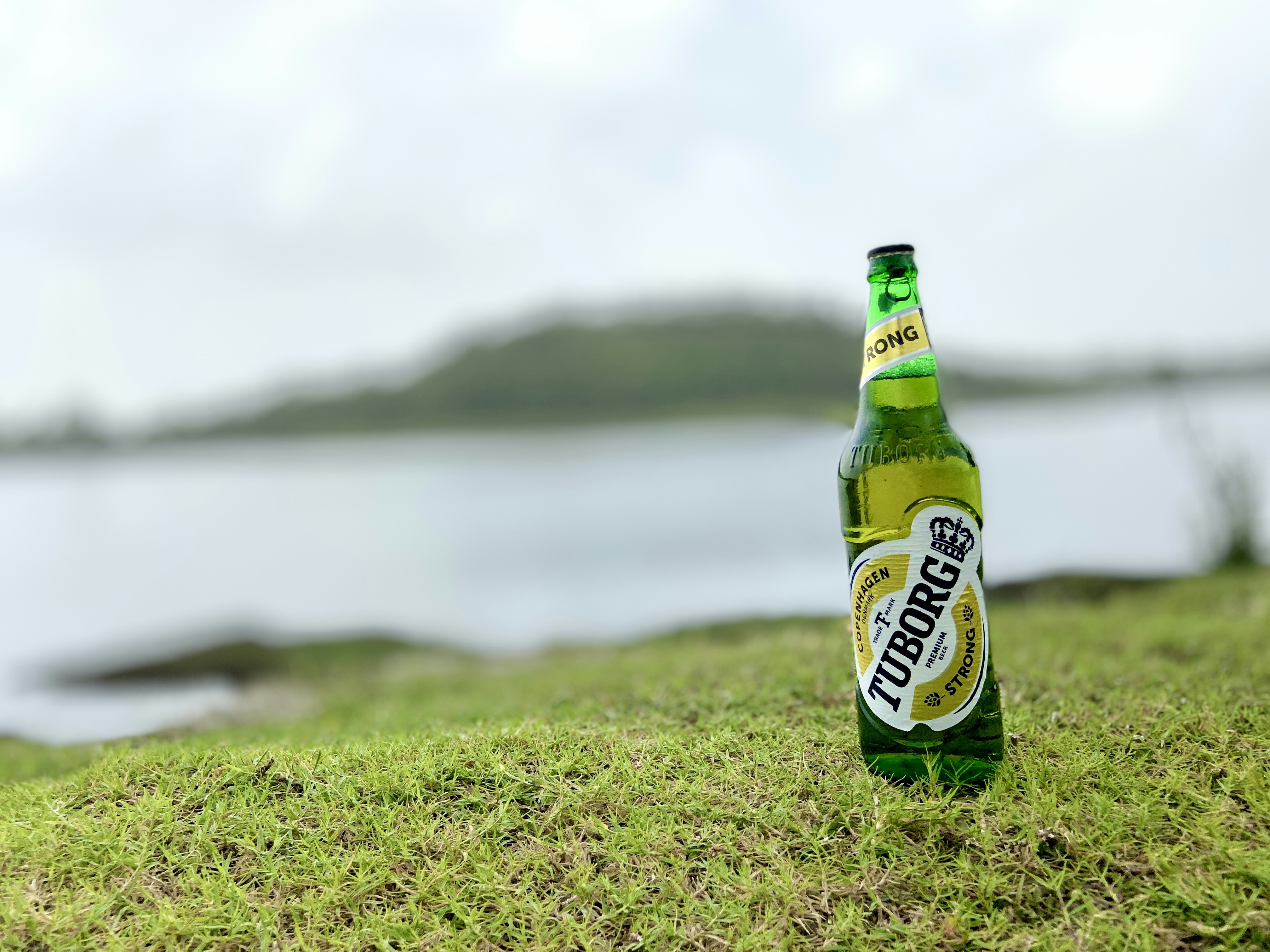 Beer