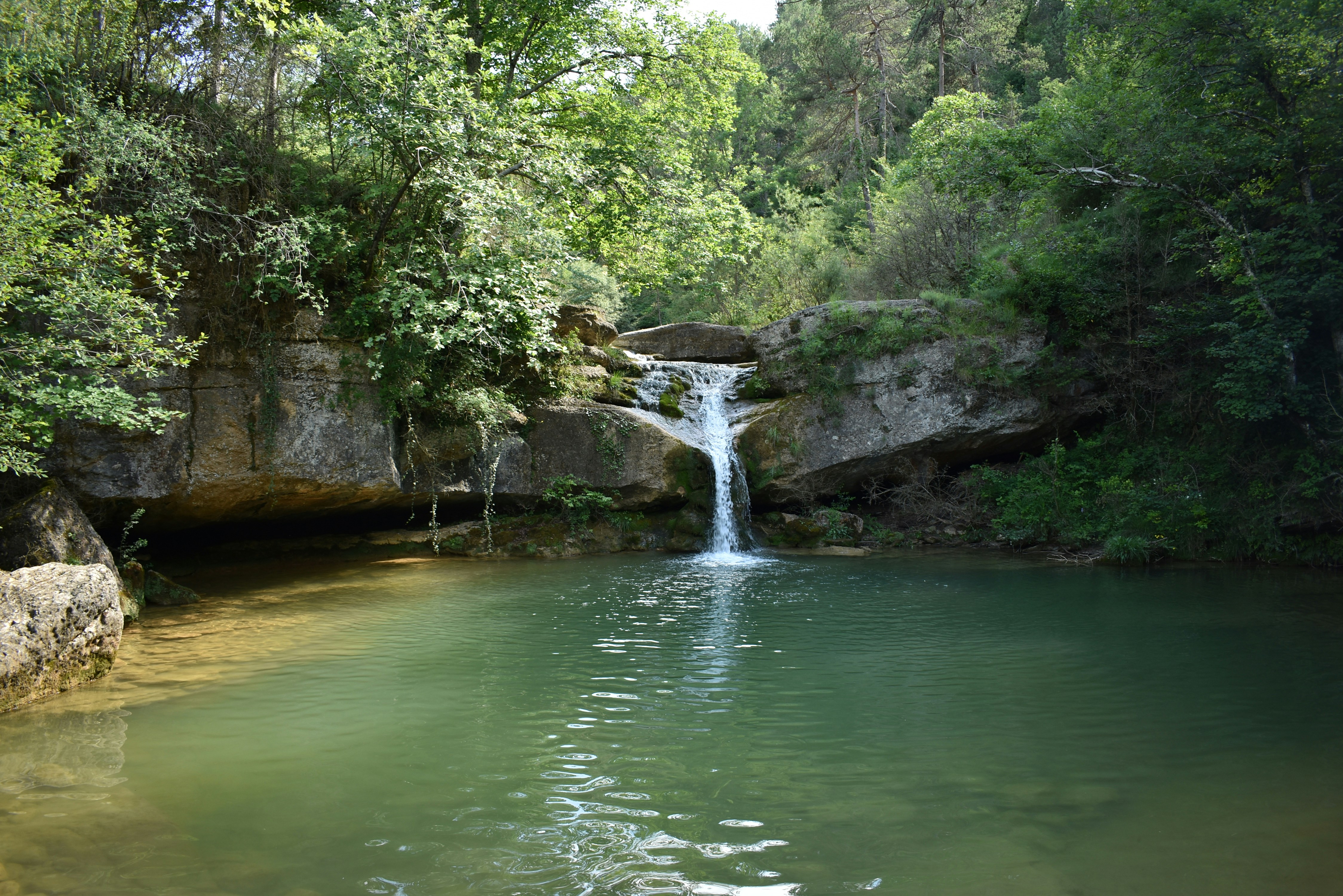 A serene waterfall cascades into a tranquil pool, surrounded by lush greenery and rocky formations. The scene evokes a sense of peace and connection with nature.