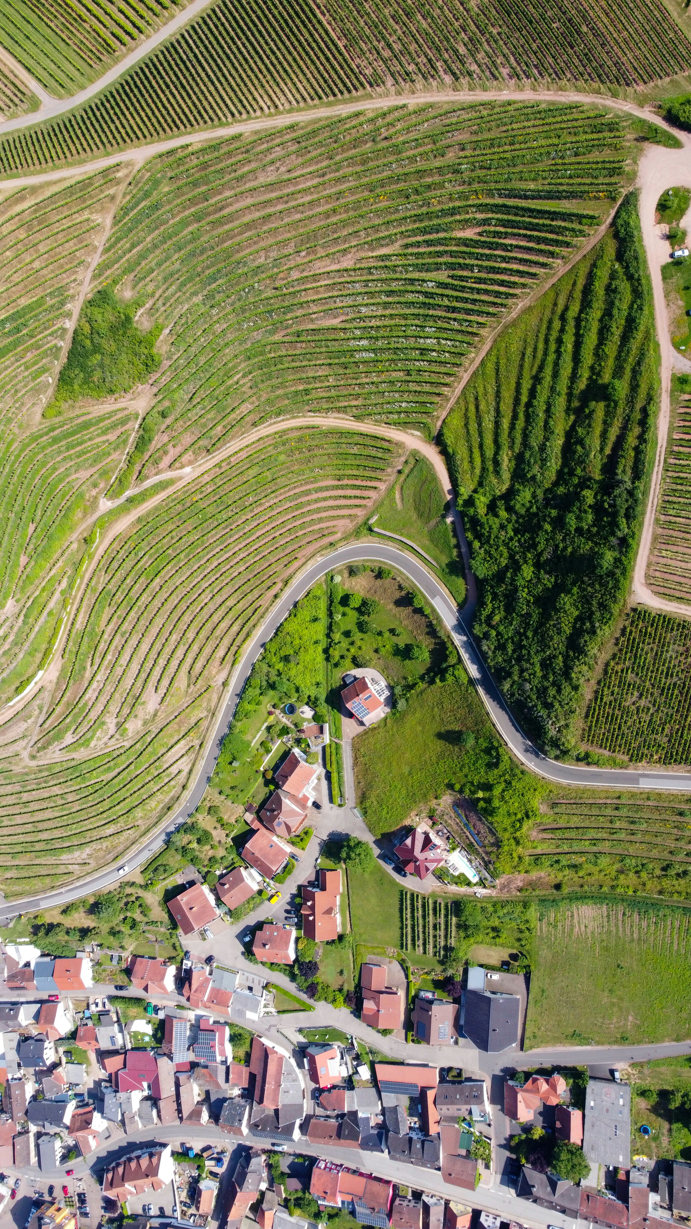 Aerial Portrait of a Winding Road weaving through terraced vineyards and a clustered village