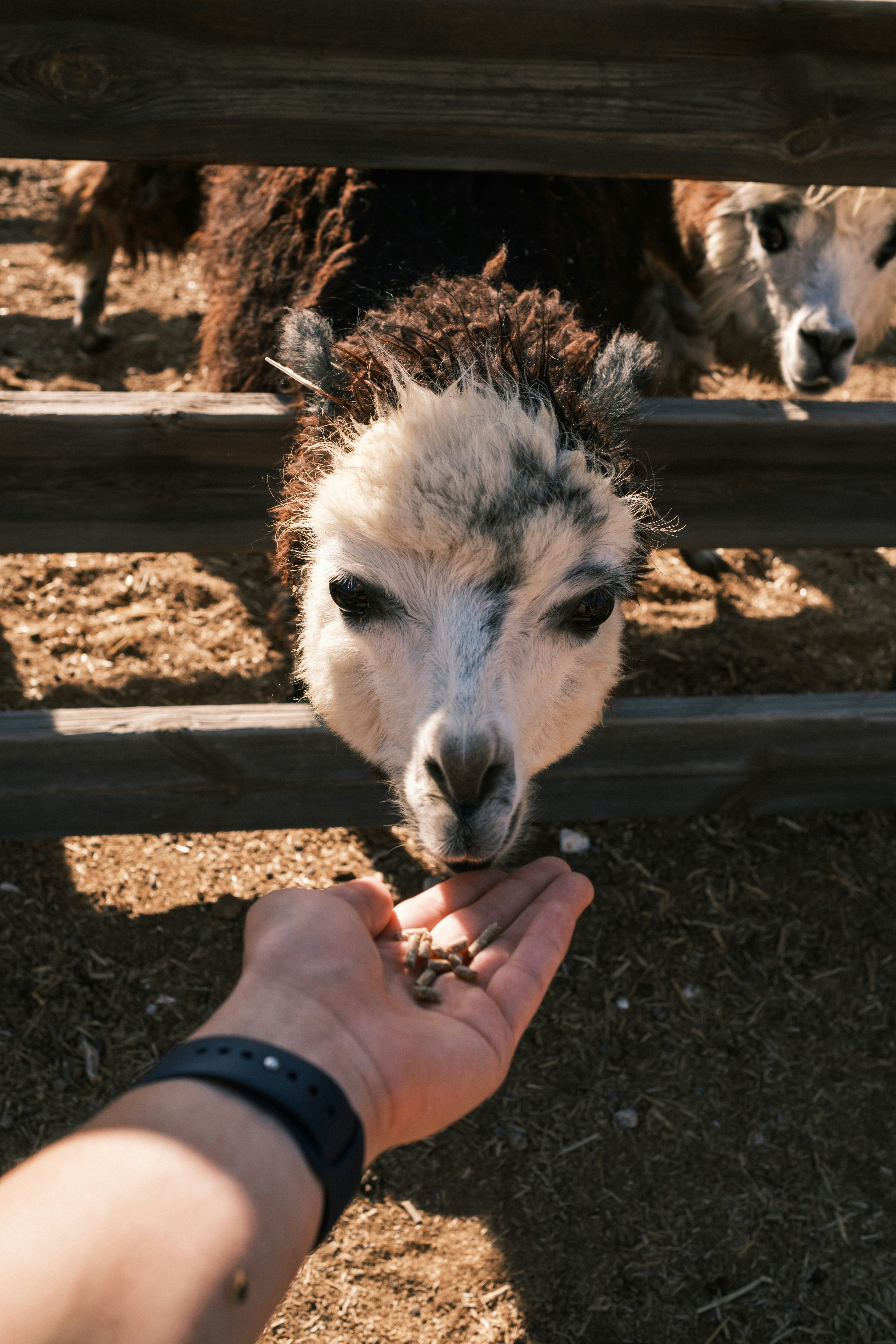 100+ Raw Pictures | Download Free Images on Unsplash