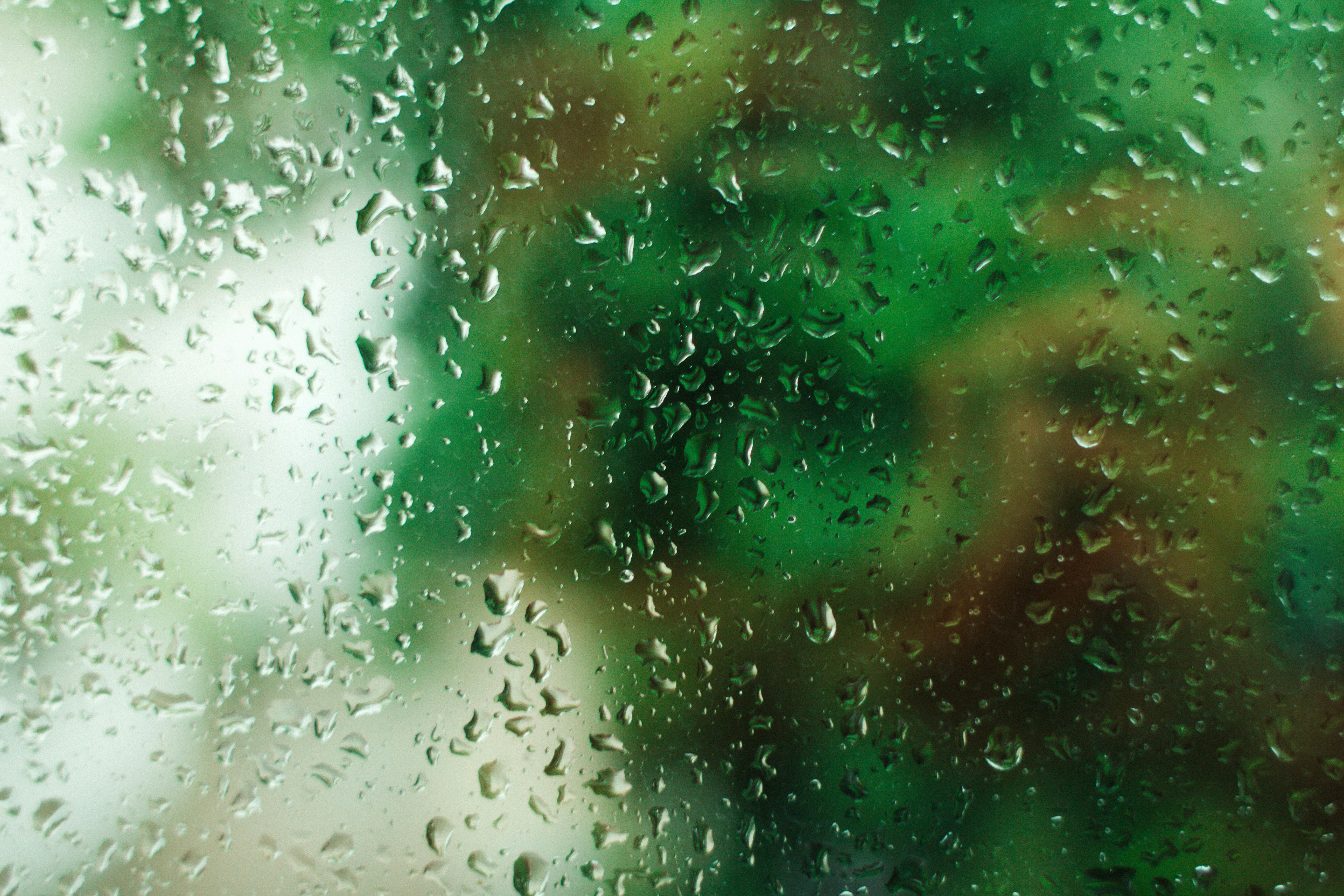 Raindrops clinging to a window create a blurred view of greenery outside, evoking a sense of tranquility. The droplets distort the scene, enhancing the mood of a rainy day.
