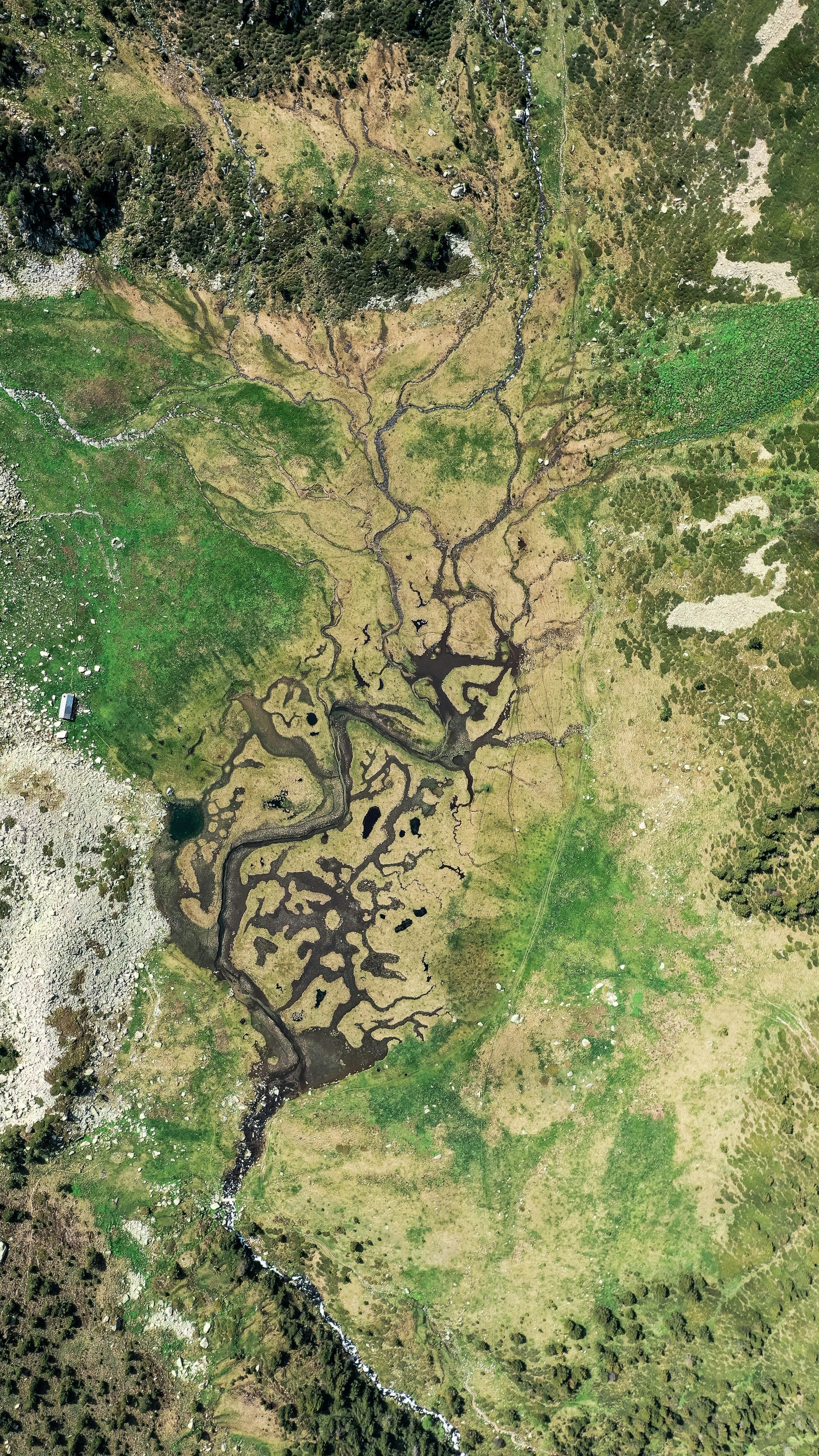 Where the river starts | aerial view of green grass field