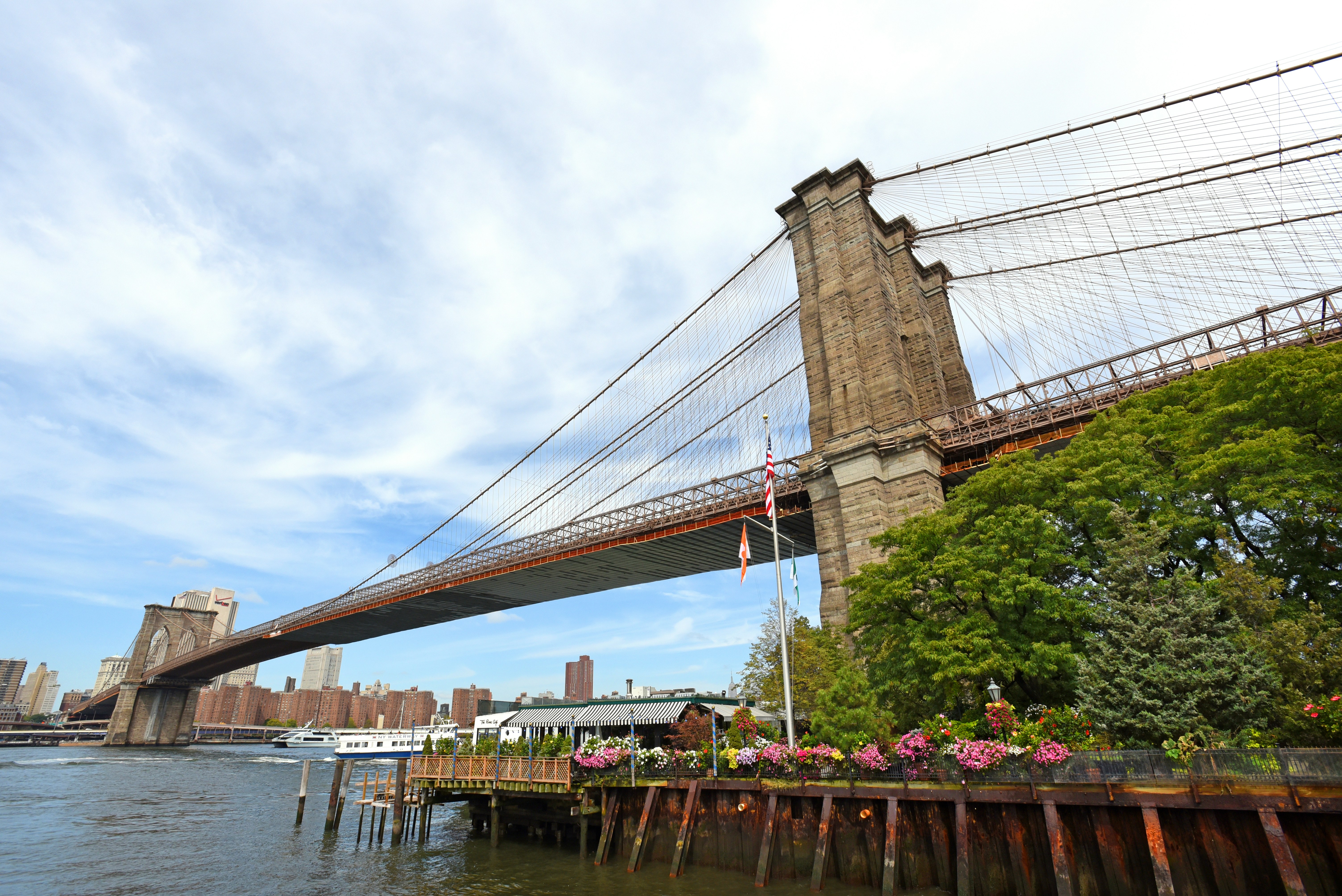 Pedestal of Steel and Petals: A Waterfront Walk Under the Brooklyn Bridge