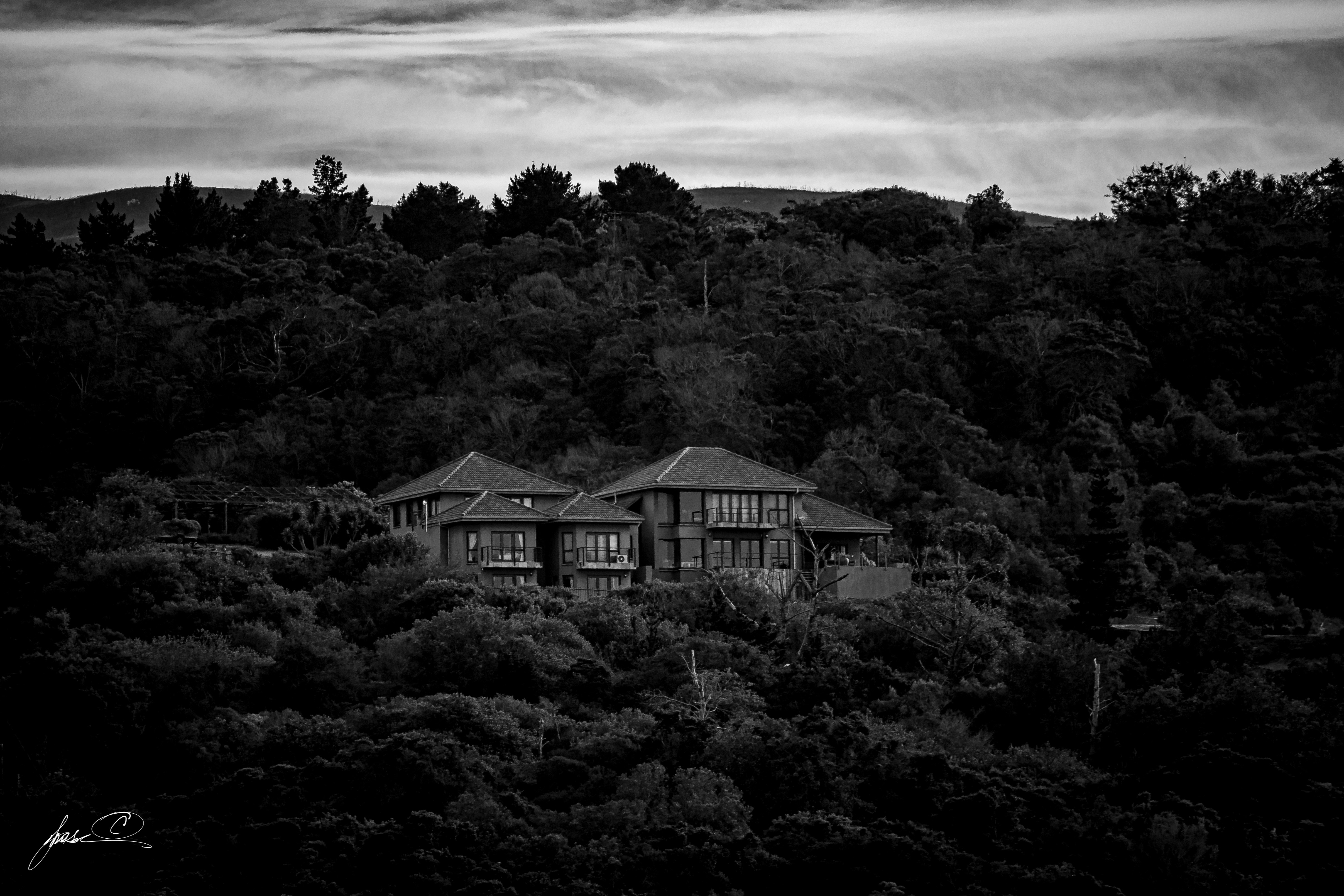 Elegant mansion nestled in lush hillside, captured in black and white.