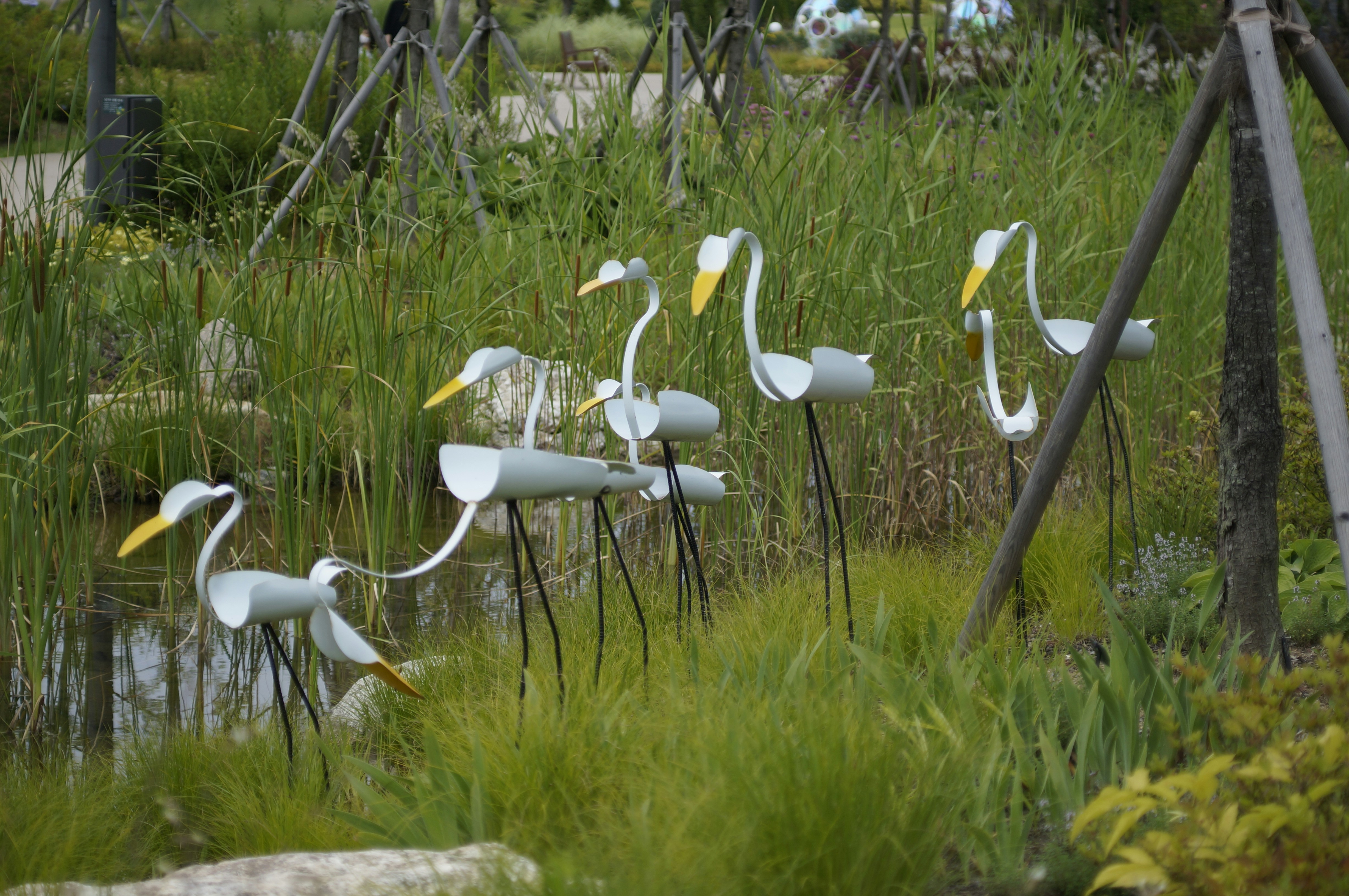 A group of white birds standing on top of a lush green field photo ...