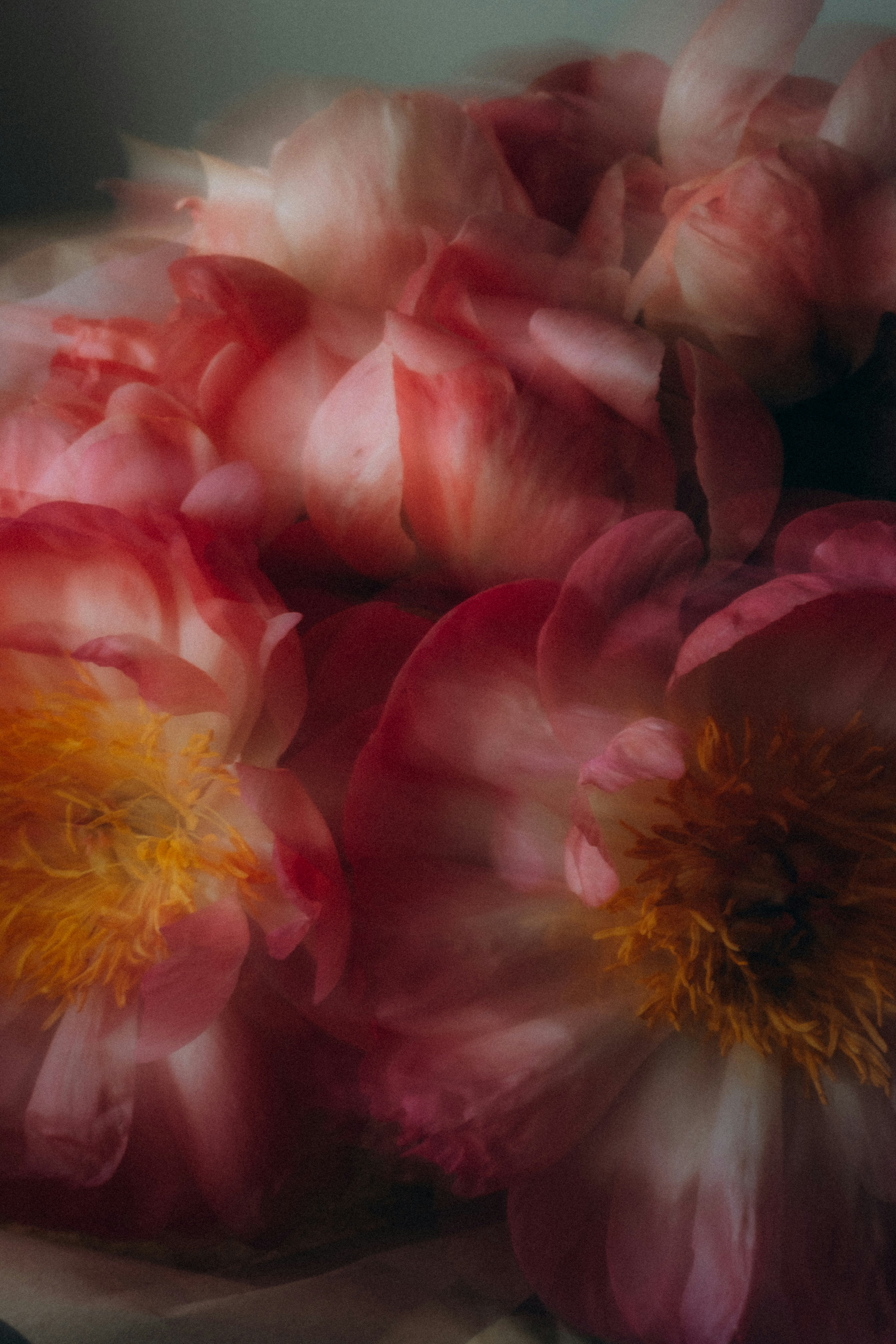 Aesthetics Pictures | Download Free Images on Unsplash