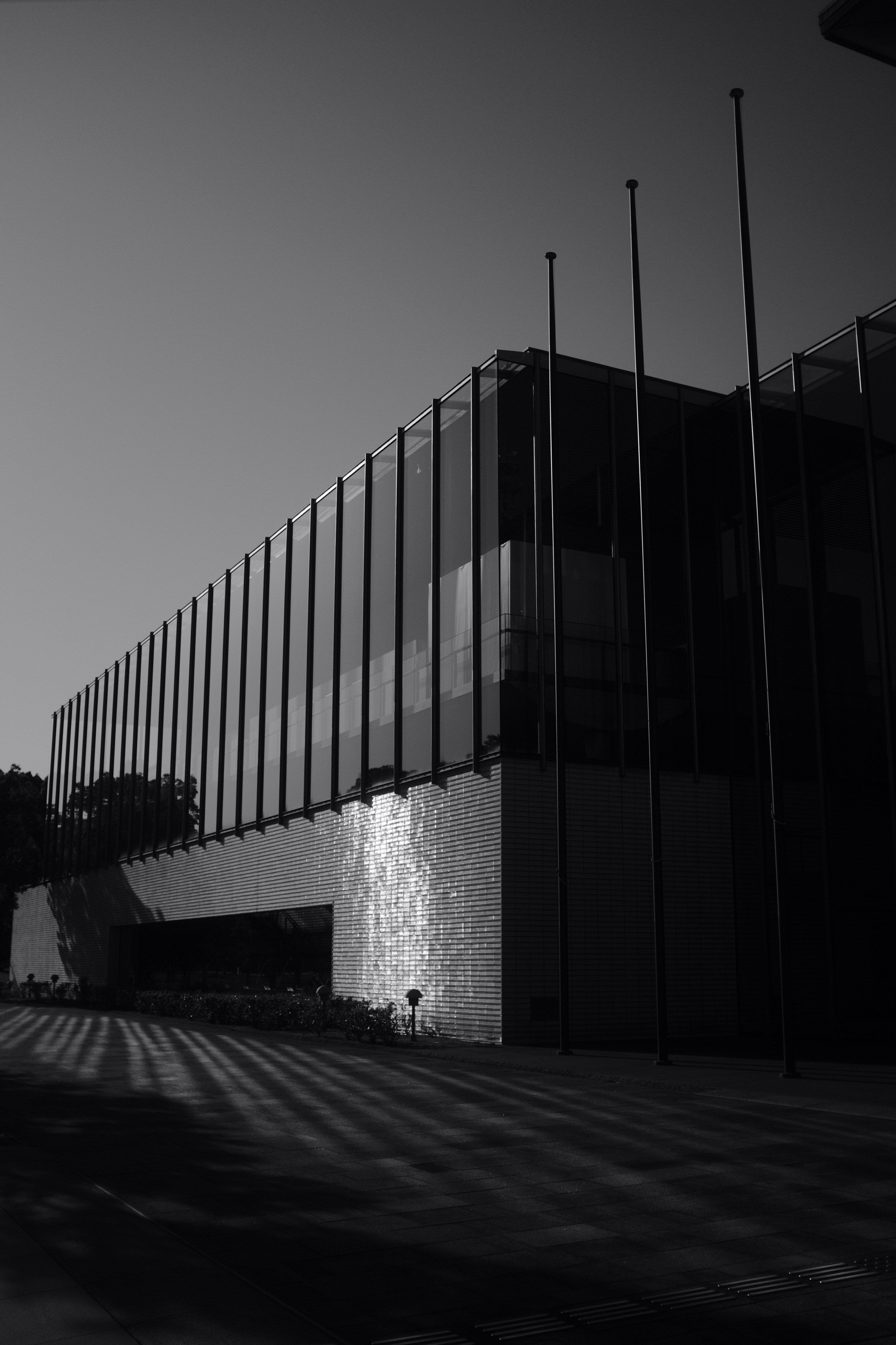 Grayscale photo of building during daytime photo – Free Building Image ...