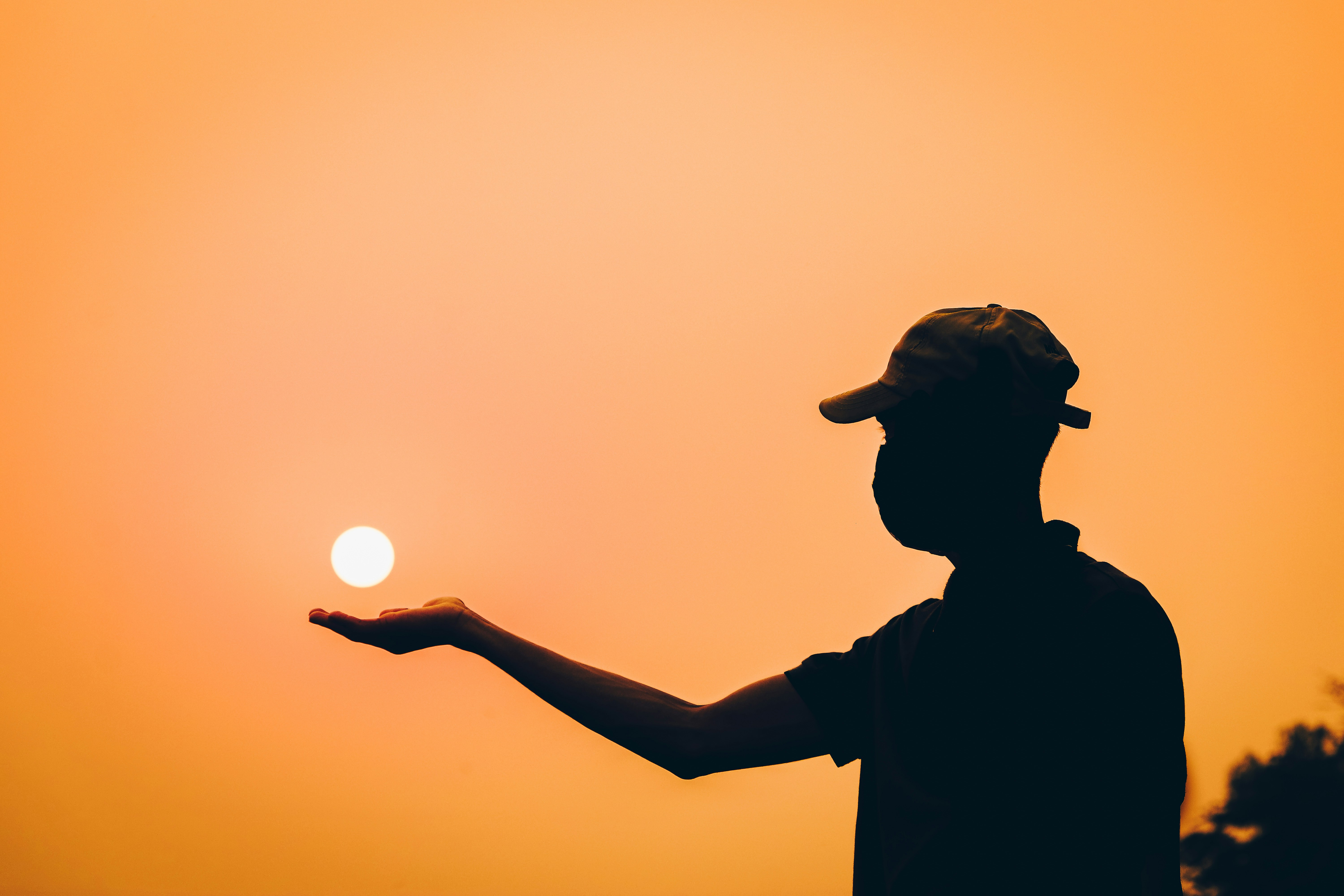 Sunset Shadow Pictures | Download Free Images on Unsplash