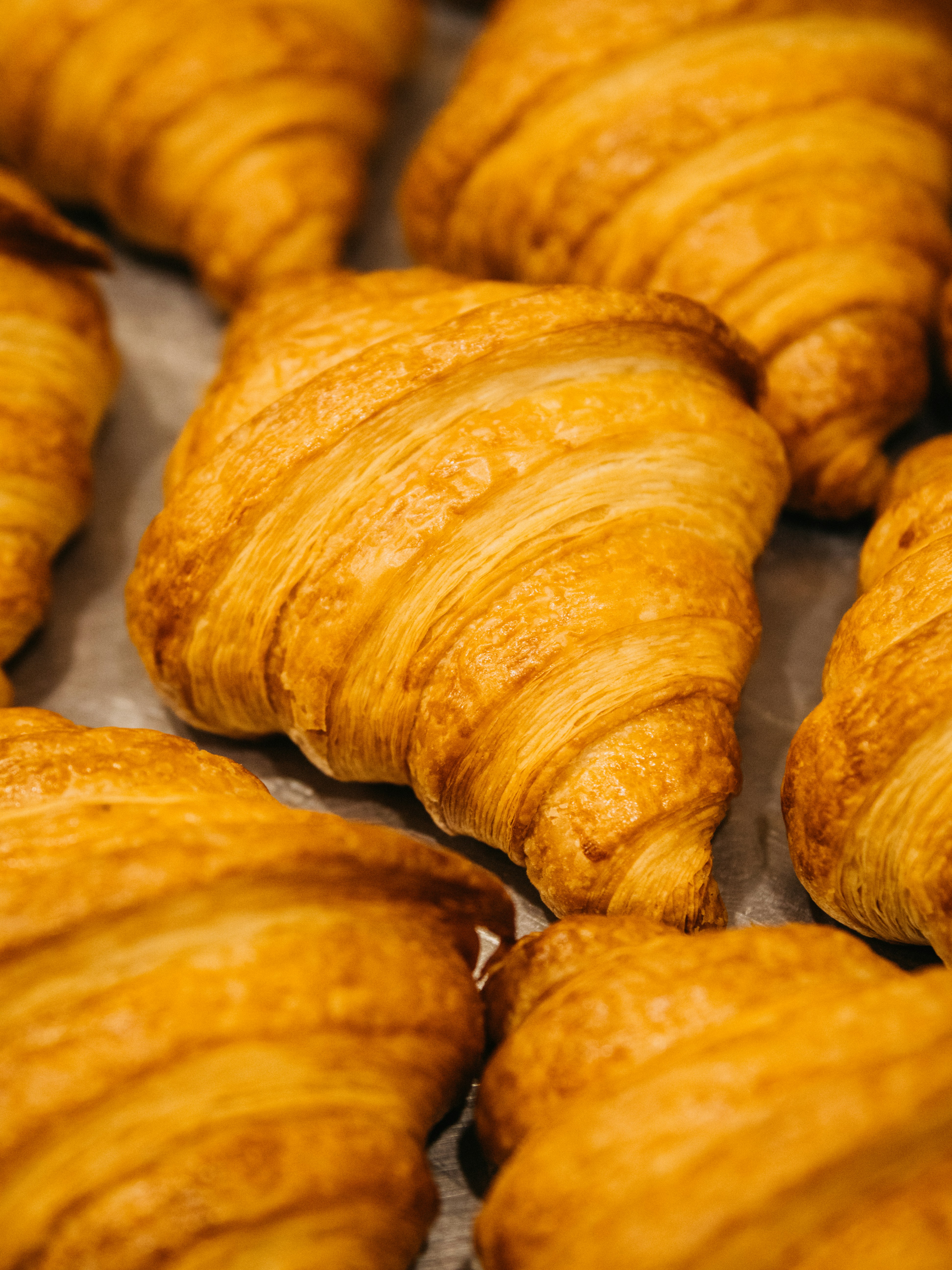 Freshly baked croissants with golden, flaky layers arranged closely together on a baking tray.
