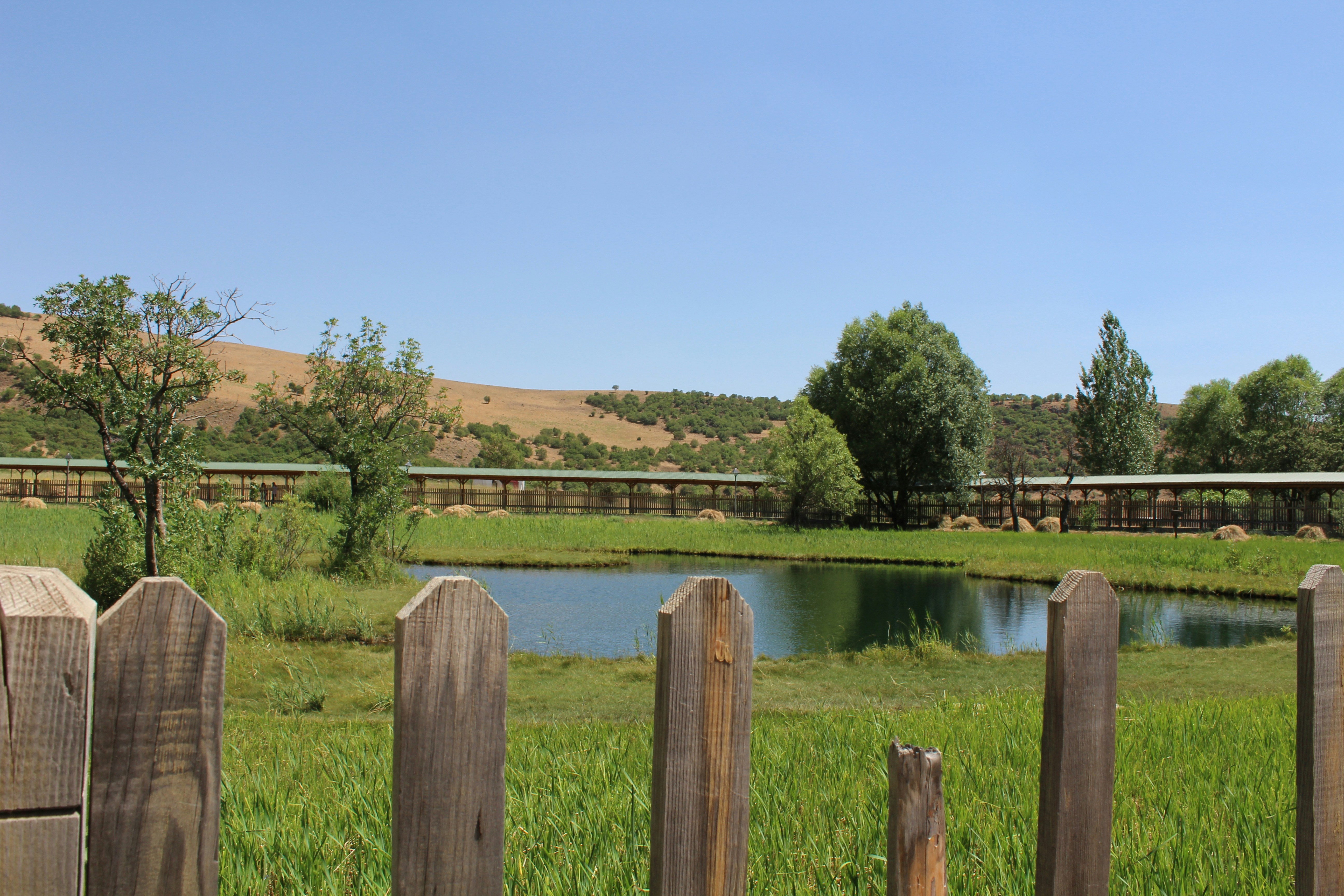 brown wooden fence near green grass field and body of water during daytime