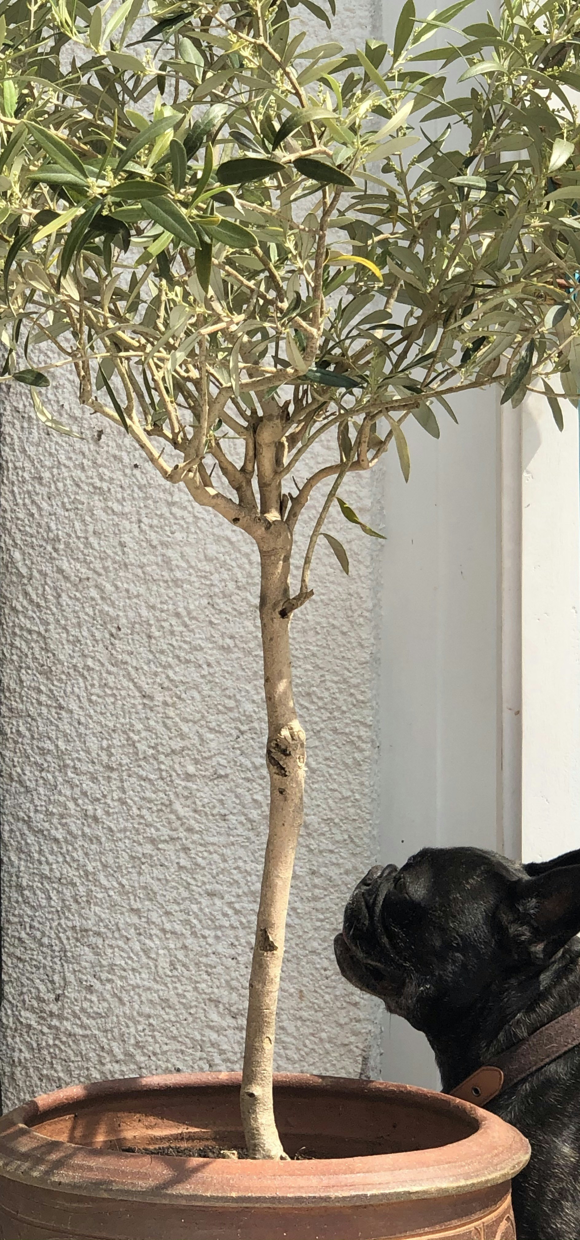 Photo by Mia knight with Apple iPhone X