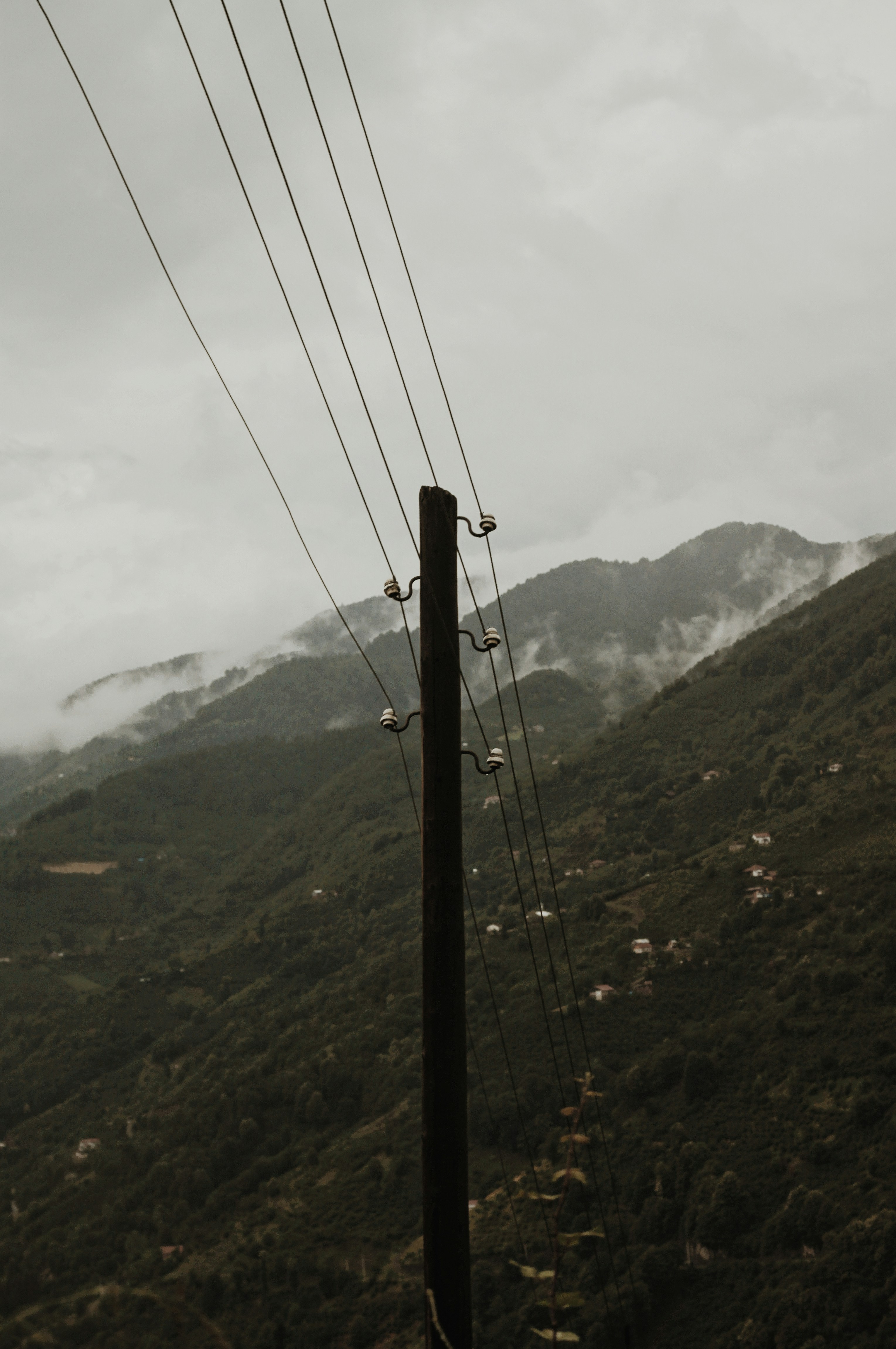 Lone Pole Over a Misty Valley: Industrial Lines in Silence