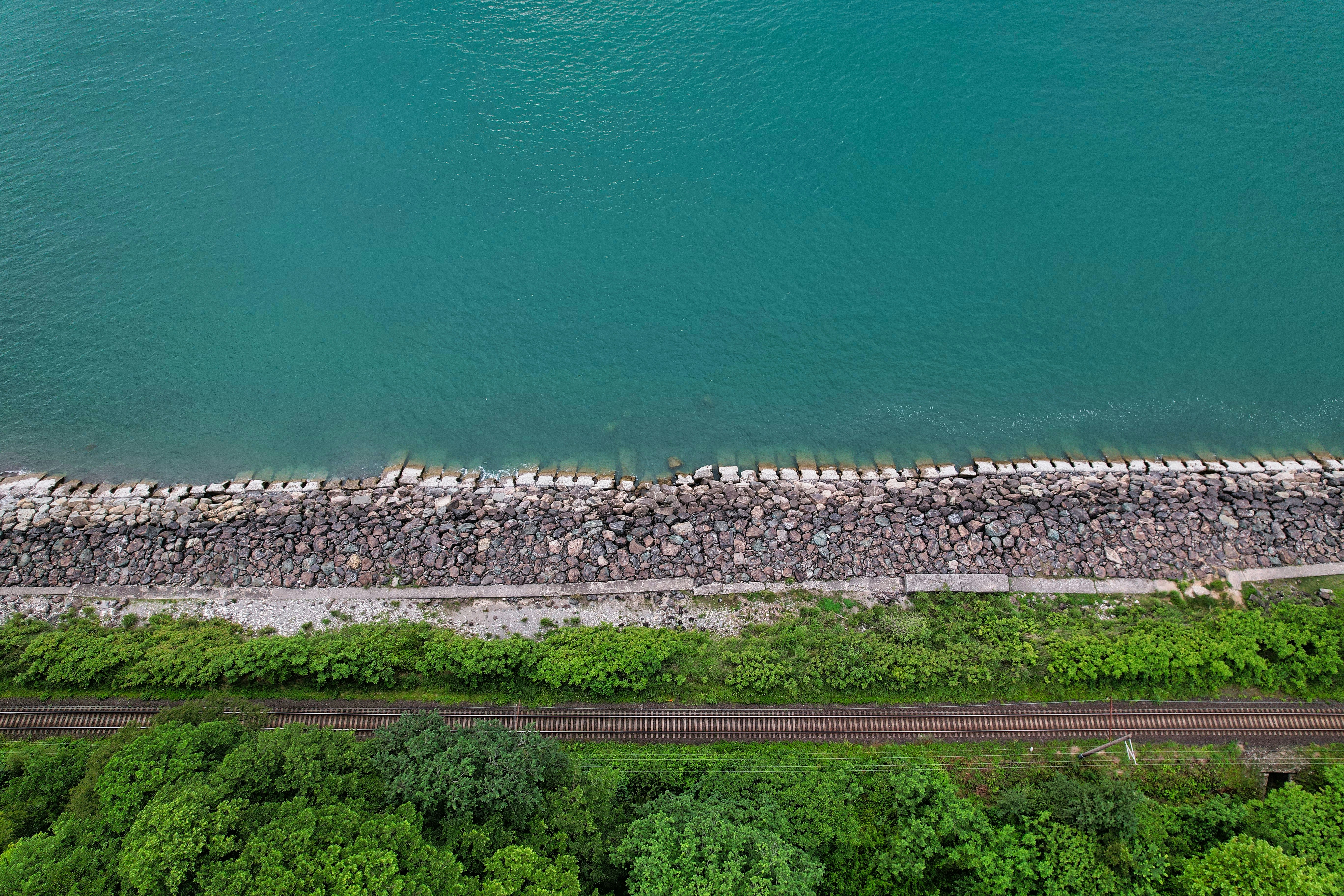 aerial view of green trees and body of water during daytime