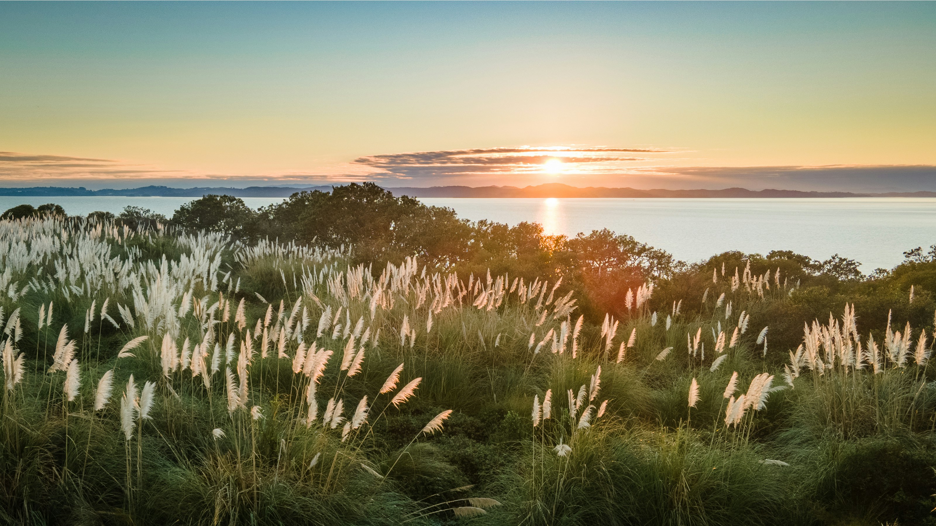 Sun rising over a tranquil landscape of tall grasses and distant mountains.